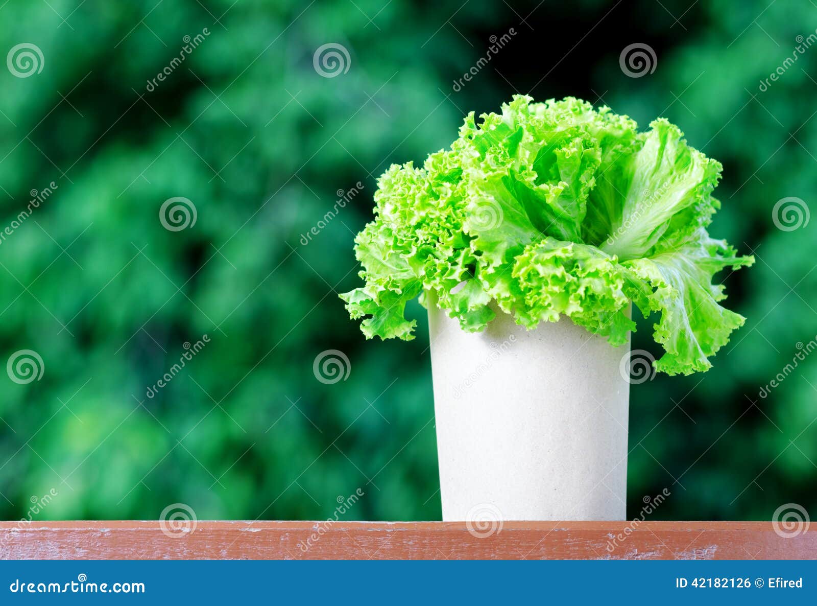 Fresh lettuce in paper bag stock photo. Image of crop - 42182126