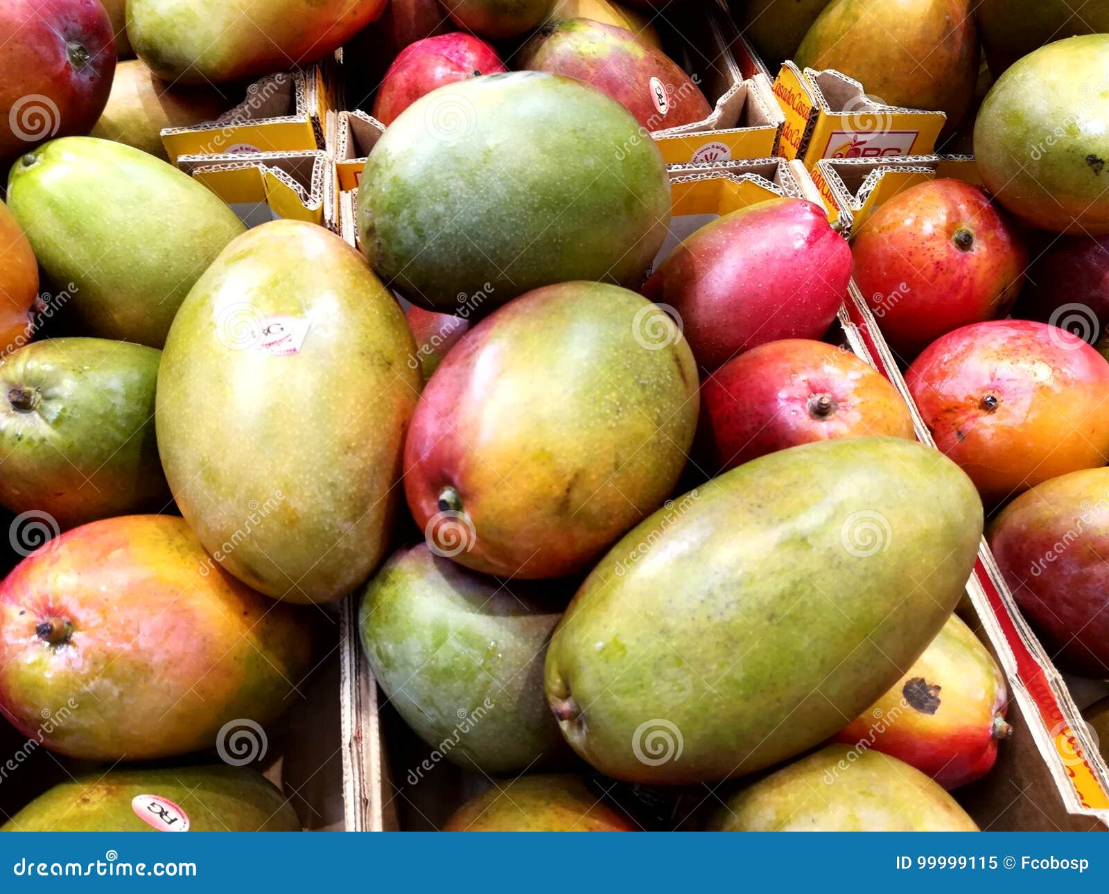 Bio- frutta del mango immagine editoriale. Immagine di raccolta - 99999115