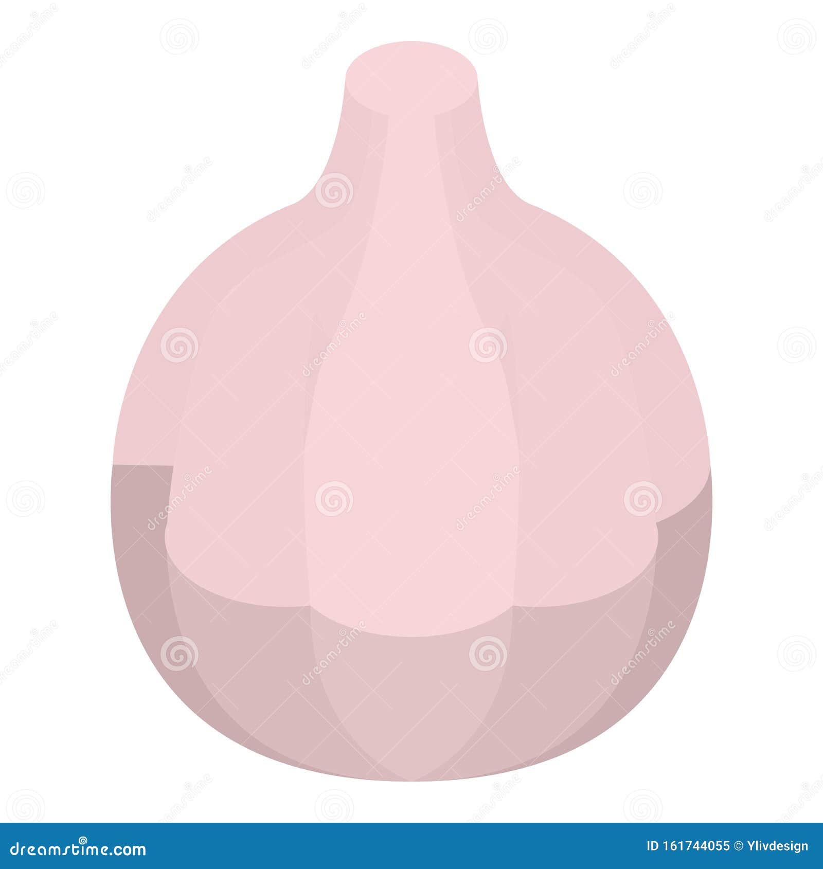 Bio Garlic Icon, Isometric Style Stock Vector - Illustration of diet ...