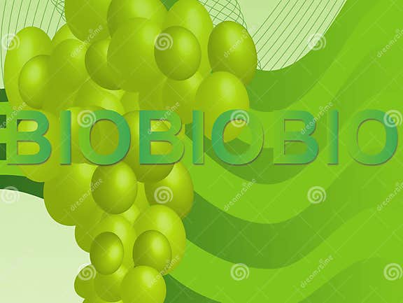 Bio grapes stock illustration. Illustration of element - 23642785
