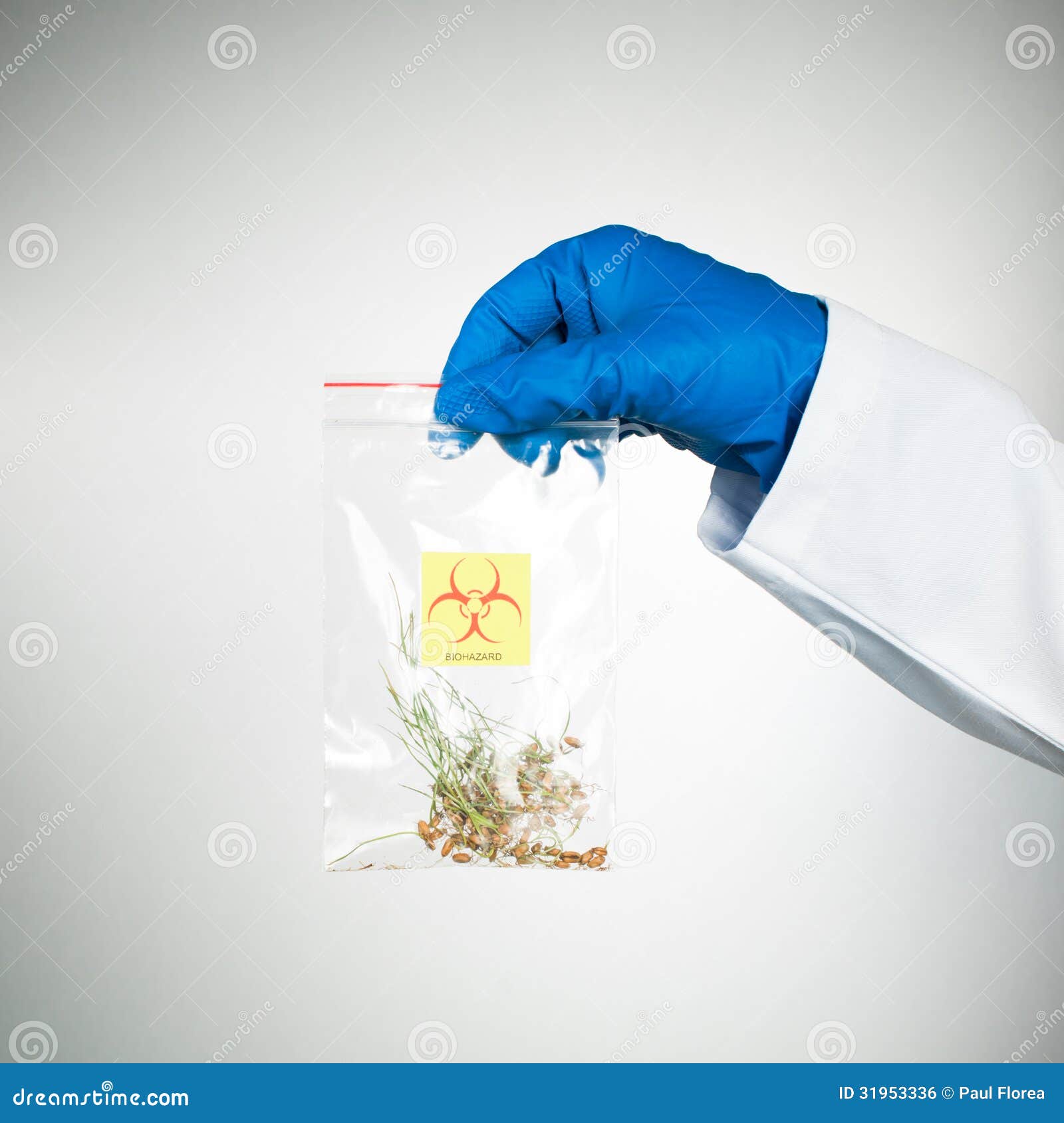 Bio Hazardous Sample of Contaminated Plants Stock Photo - Image of ...