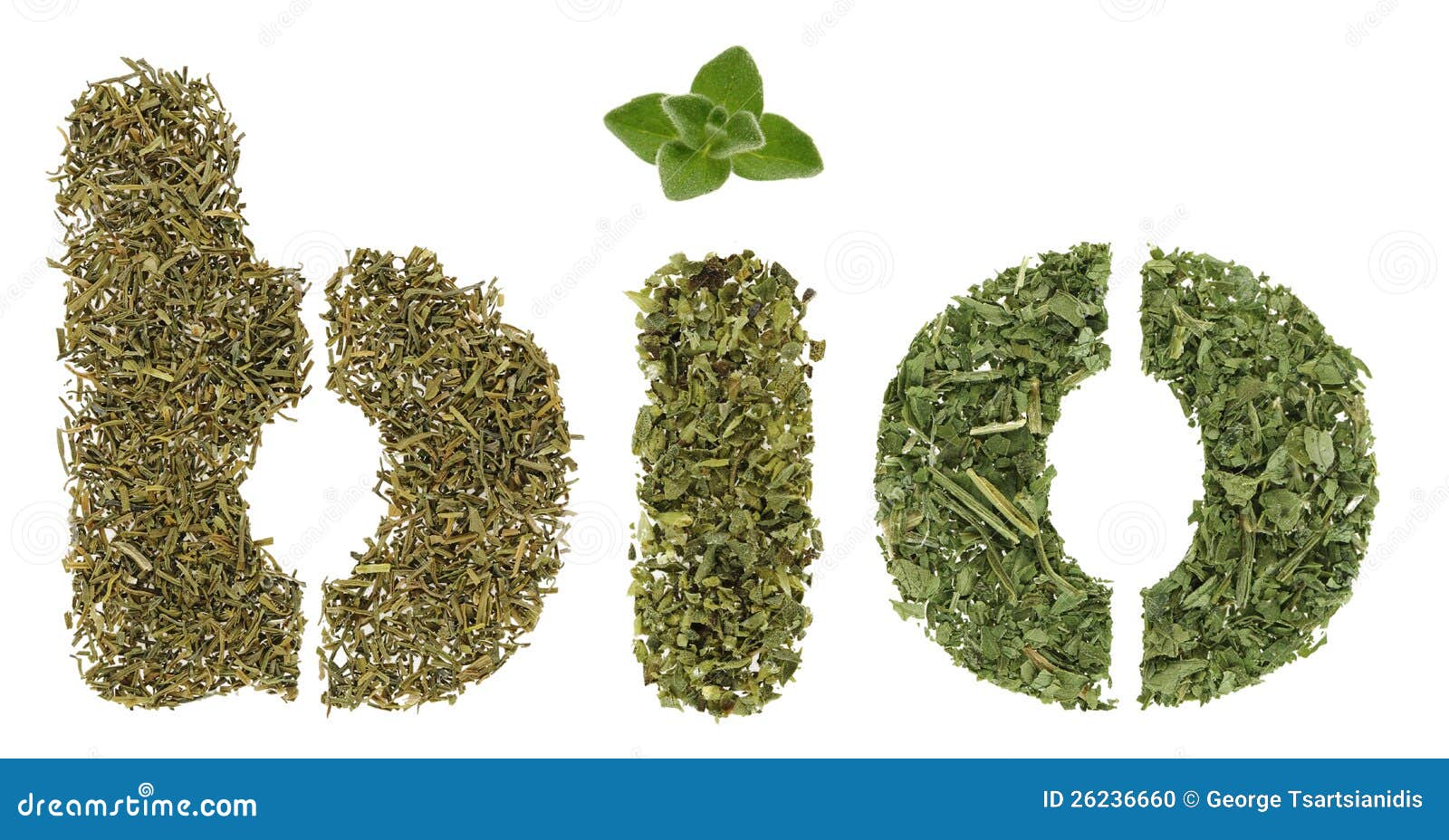 Bio herbs stock photo. Image of health, food, fresh, green - 26236660