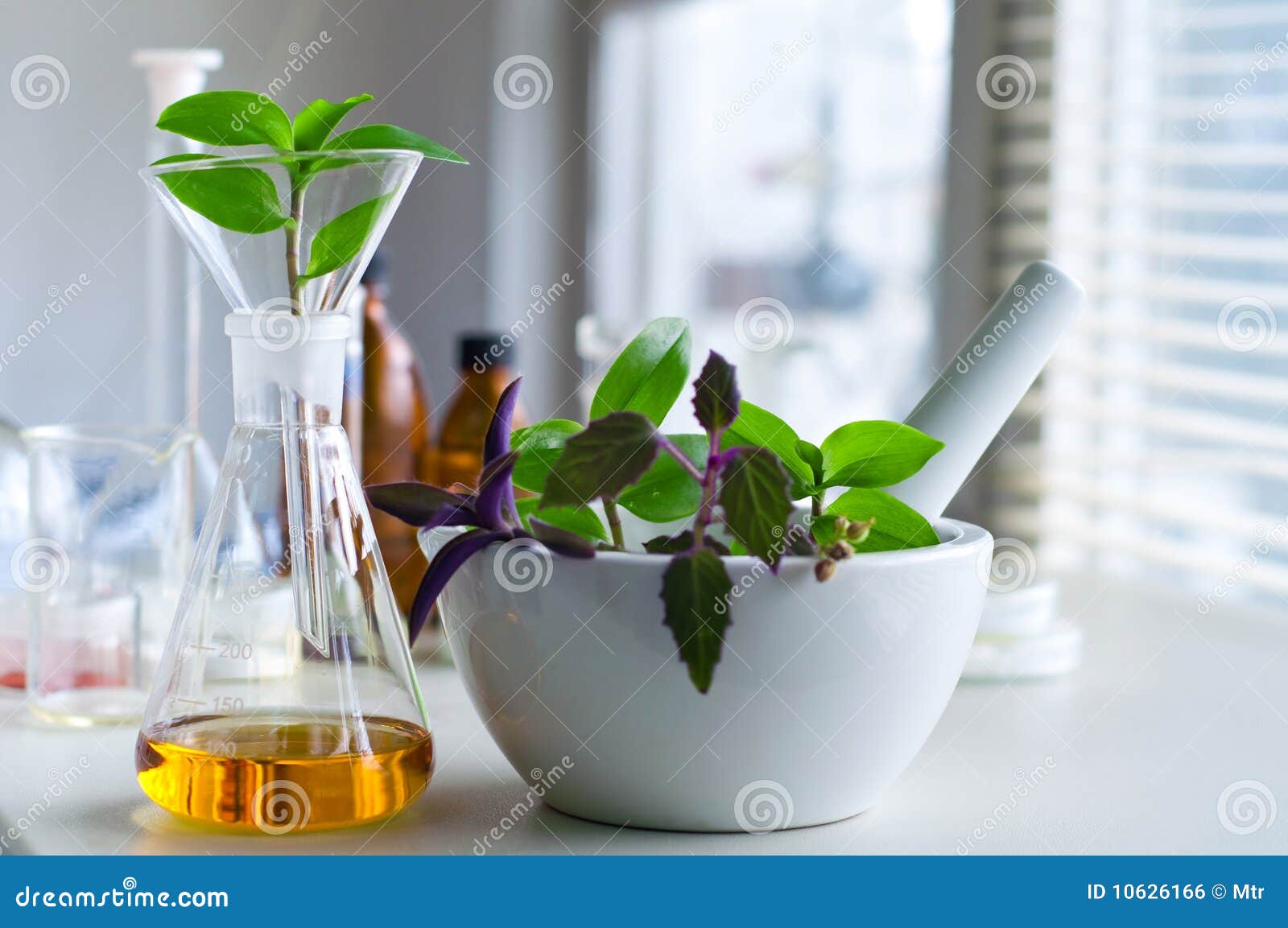 Bio laboratory stock photo. Image of alternative, pharmacy - 10626166