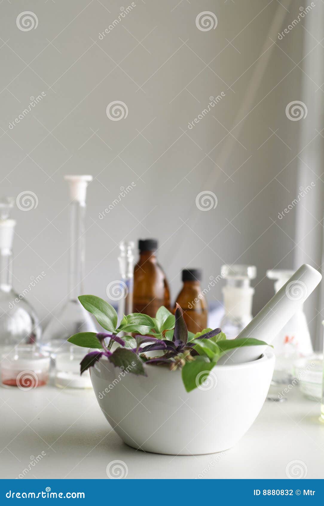 Bio laboratory stock photo. Image of biodiesel, pharmacy - 8880832