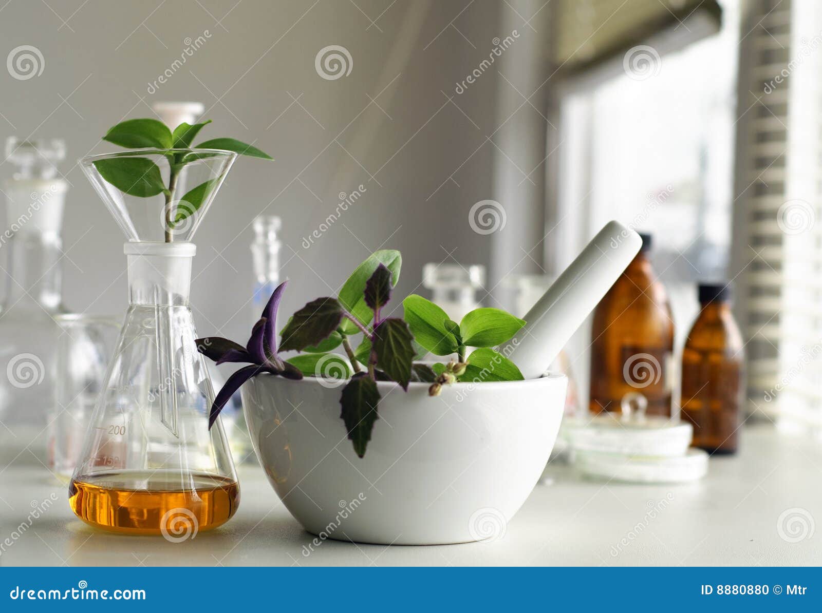 Bio laboratory stock photo. Image of mortar, aromatherapy - 8880880