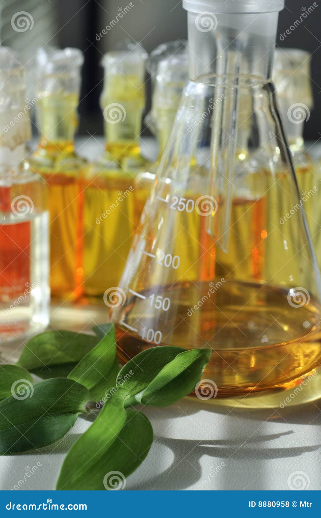Bio laboratory stock photo. Image of apothecary, laboratory - 8880958