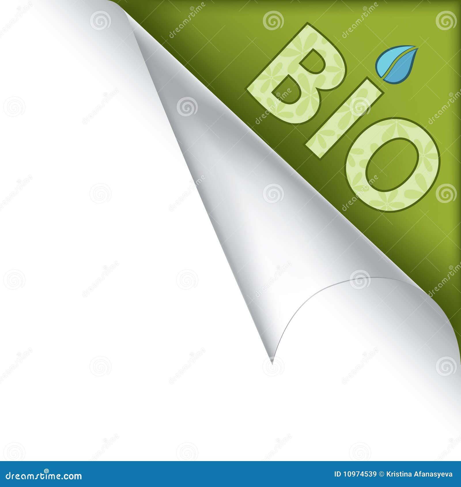 Bio page corner stock vector. Illustration of empty, design - 10974539