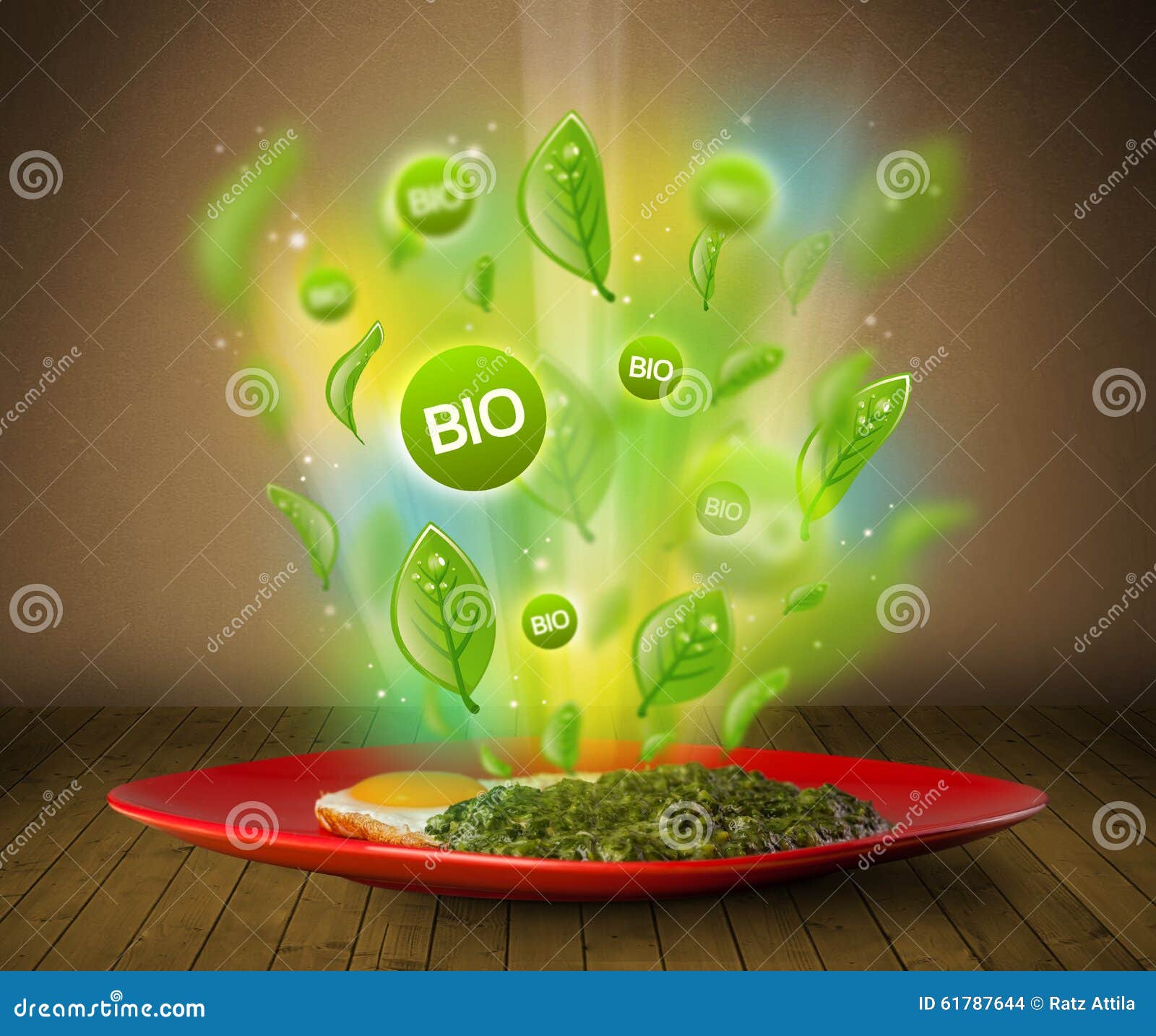 Bio Plat Vert Sain De Nourriture Photo stock - Image du ferme, était ...