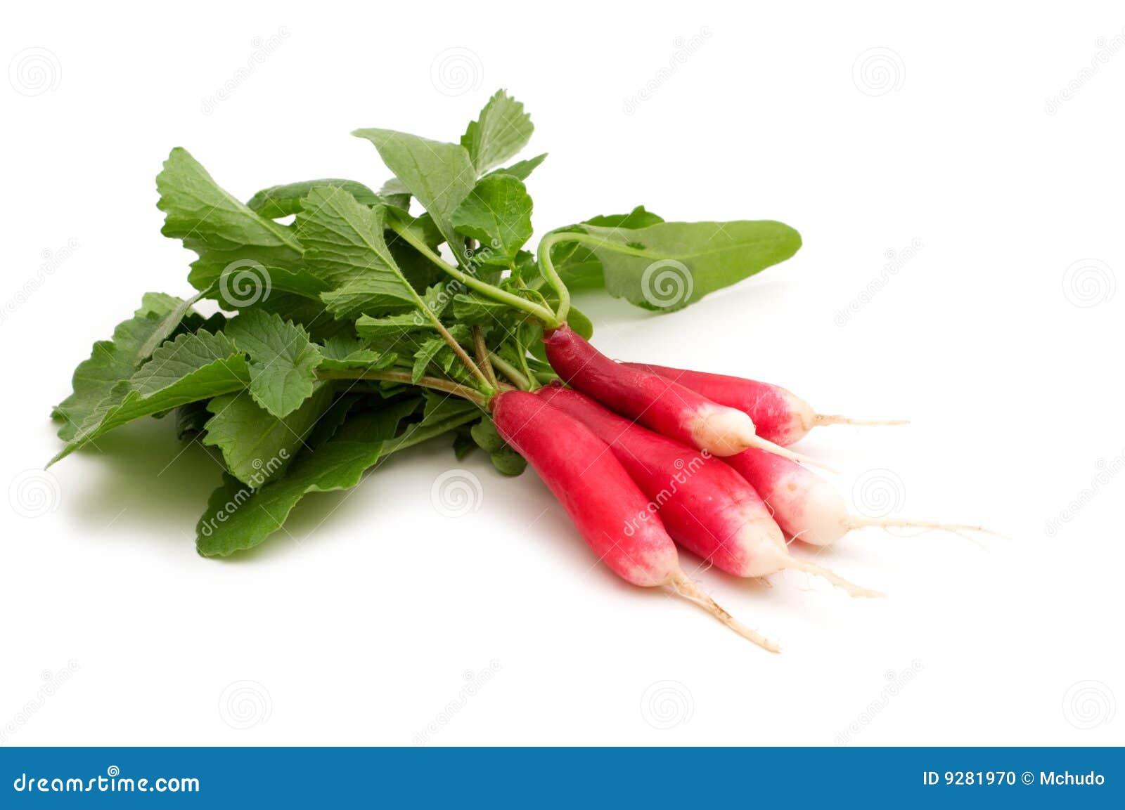 Bio- Ravanello Lungo Fresco Fotografia Stock - Immagine di verde ...