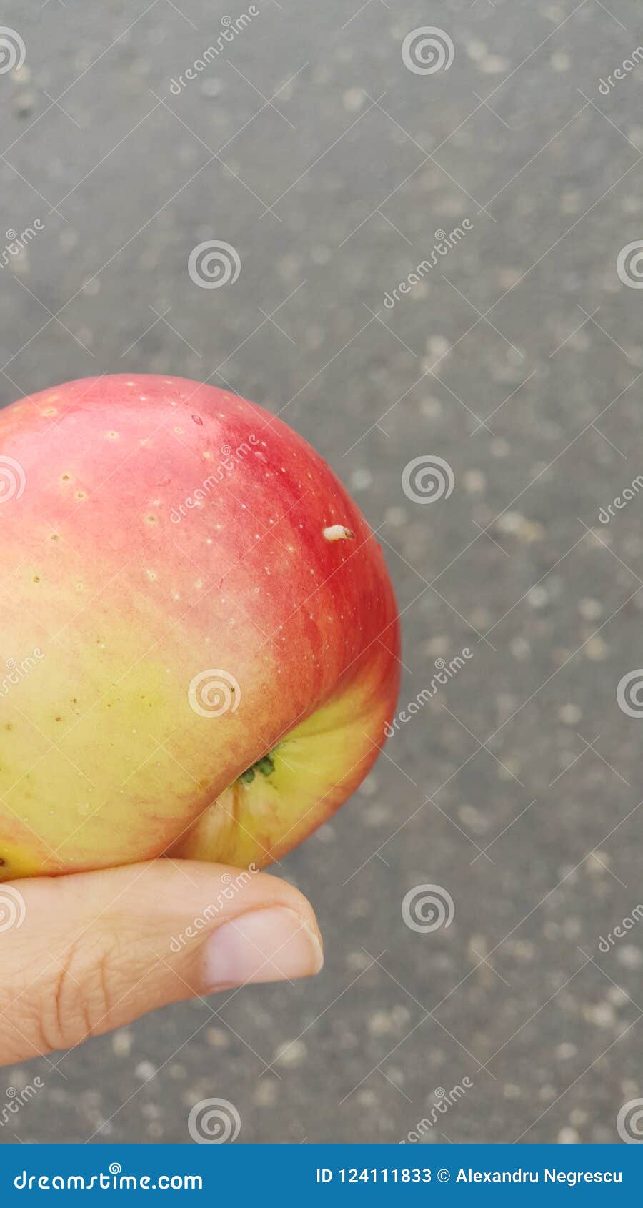Bio red apple stock image. Image of inside, worm, apple - 124111833