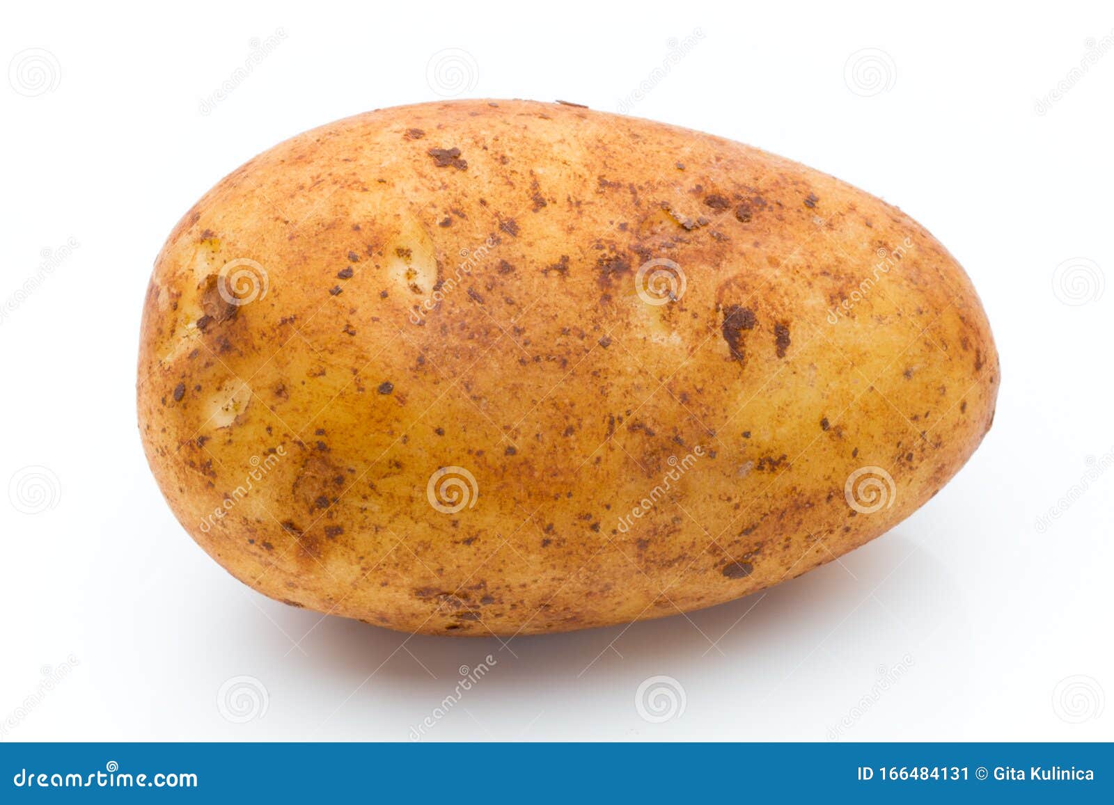 A Bio Russet Potato Isolated White Background Stock Image - Image of ...