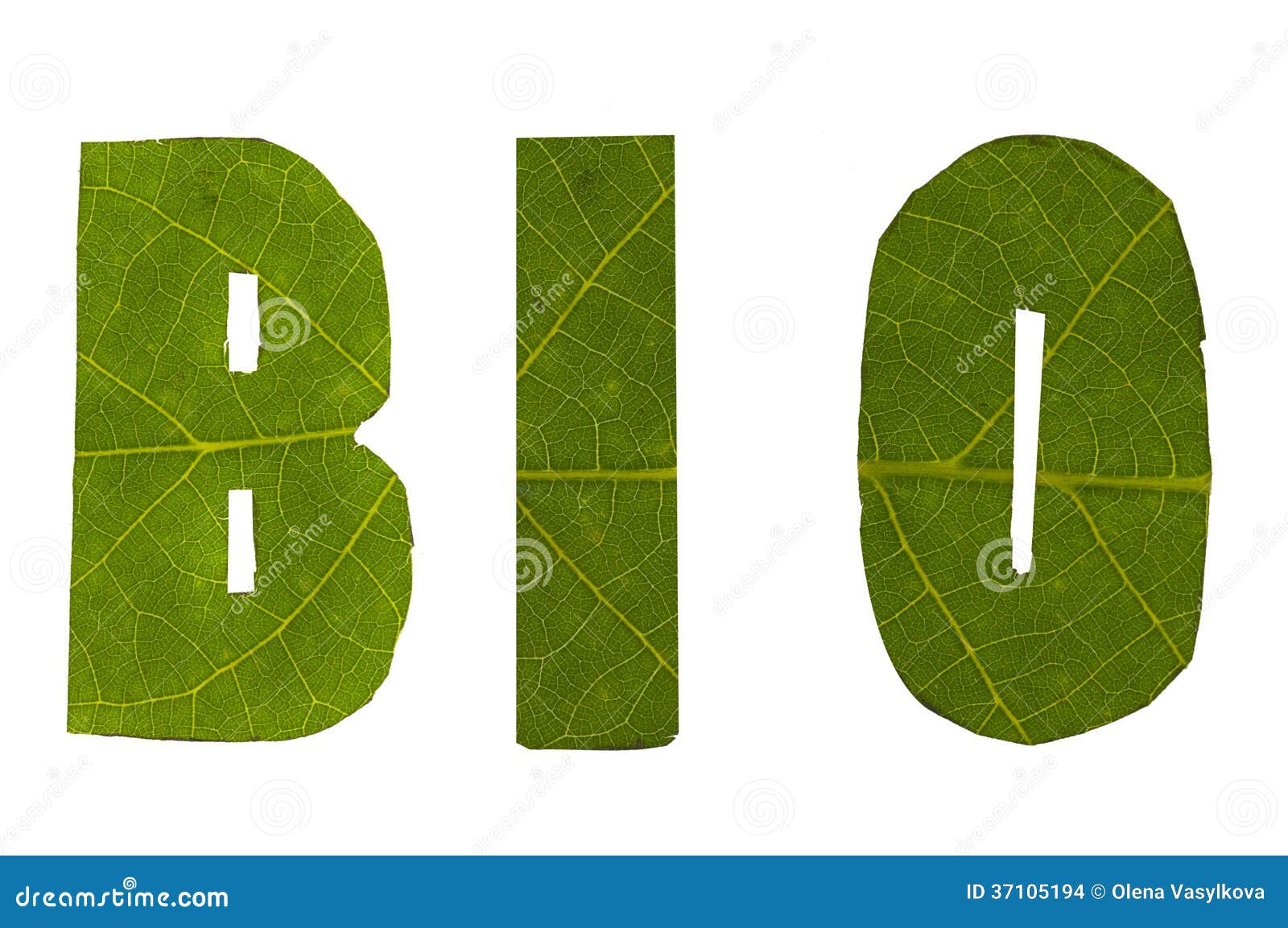Bio text stock photo. Image of natural, sustainability - 37105194