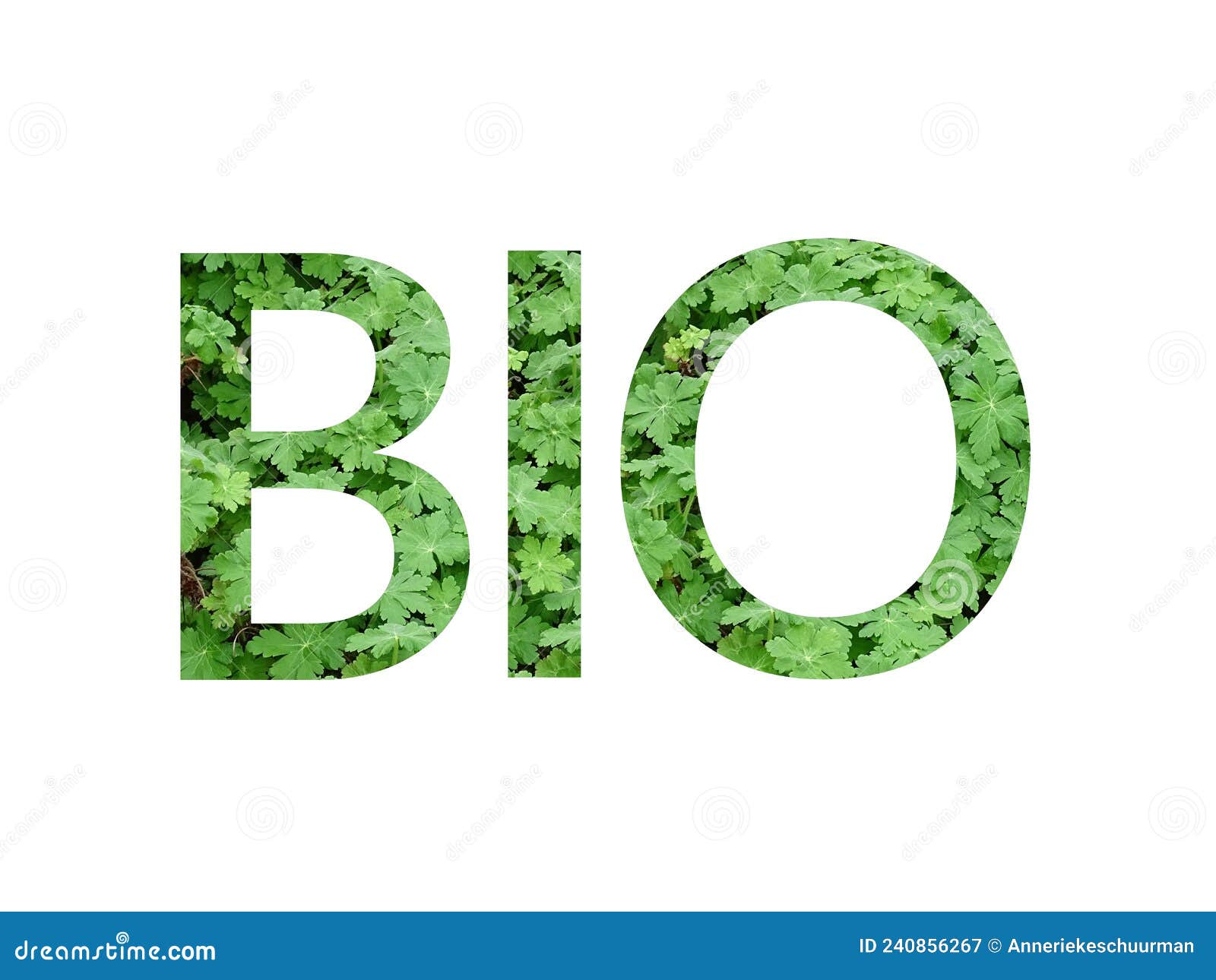 Bio Text Made with Green Letters of Geranium Stock Illustration ...