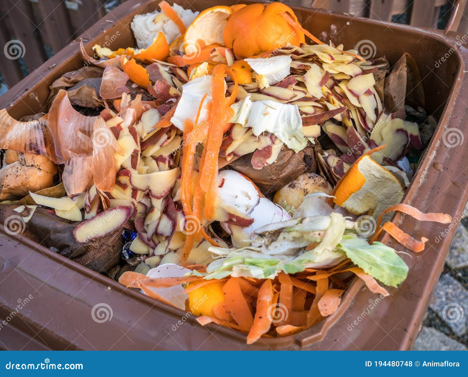 Bio waste in the bin stock photo. Image of household - 194480748