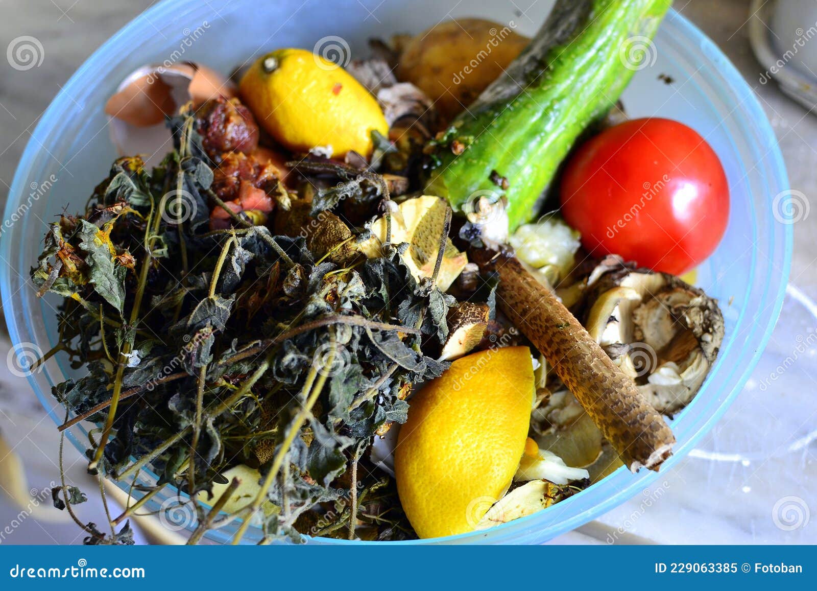 Bio waste in plastic box stock image. Image of classification - 229063385