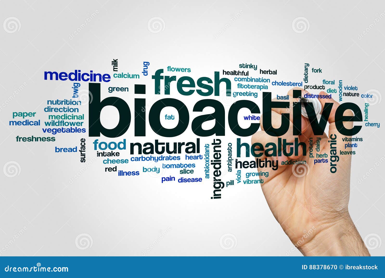 Bioactive word cloud stock photo. Image of leaves, health - 88378670