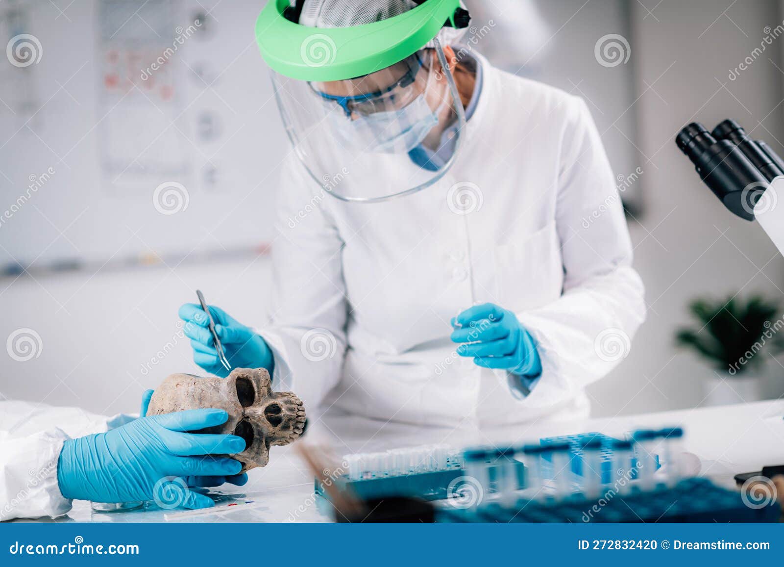 Bioarcheologia. Archeologo Che Analizza Il Cranio Umano Antico in ... Bioarcheologia. Archeologo Che Analizza Il Cranio Umano Antico in ...
