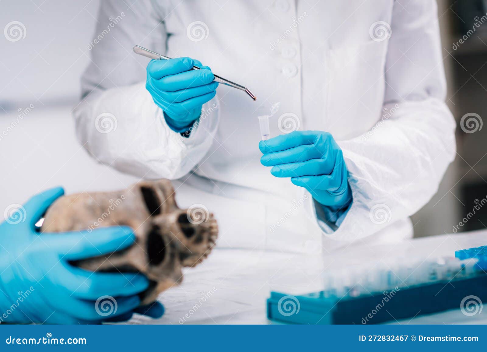 Bioarcheologia. Archeologo Che Analizza Il Cranio Umano Antico in ... Bioarcheologia. Archeologo Che Analizza Il Cranio Umano Antico in ...