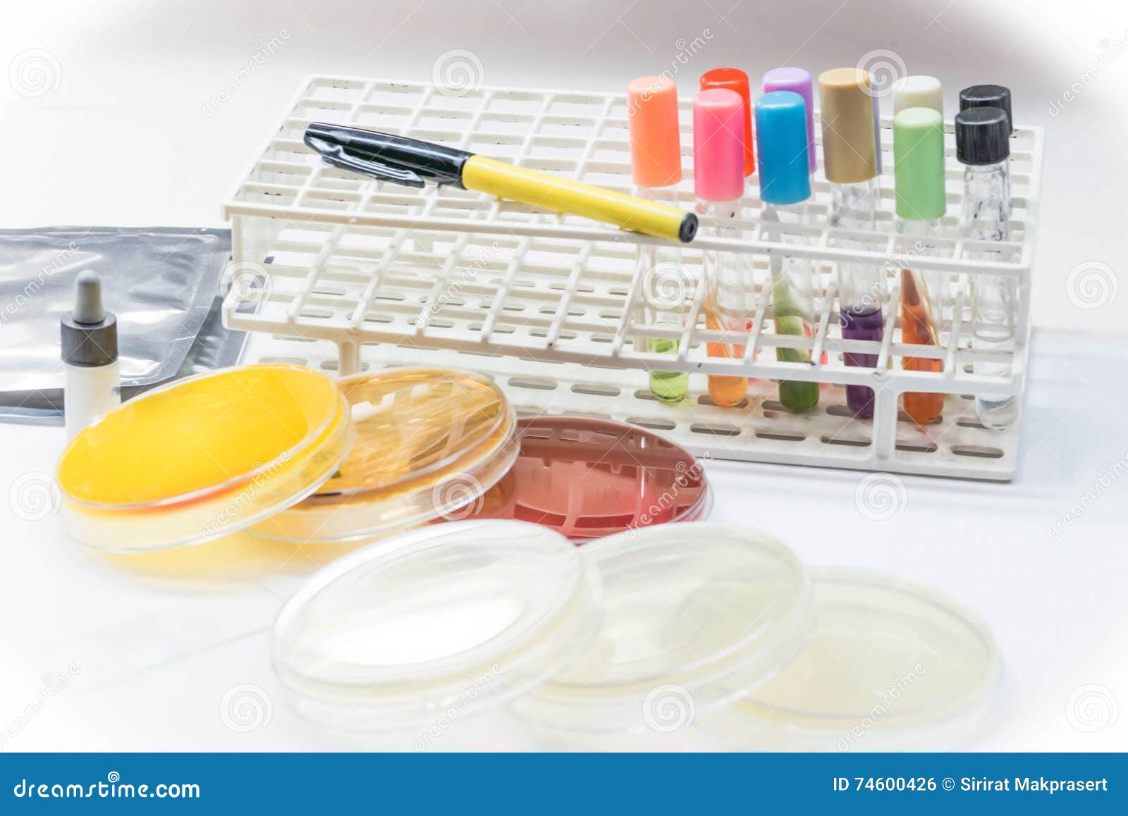 Biochem Test Kit for Identified Pathogen. Stock Photo - Image of ...