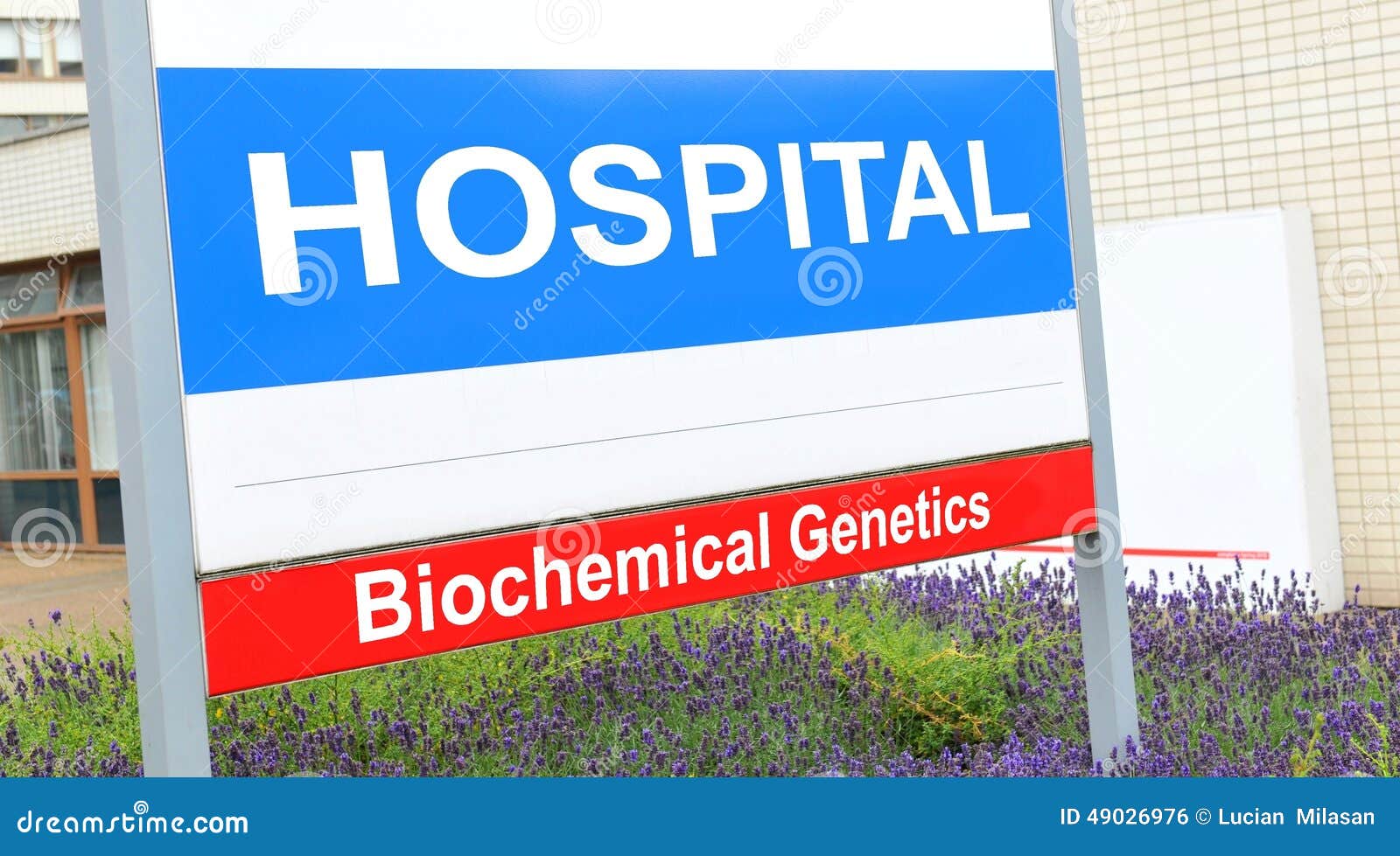 Biochemical genetics stock photo. Image of business, health - 49026976