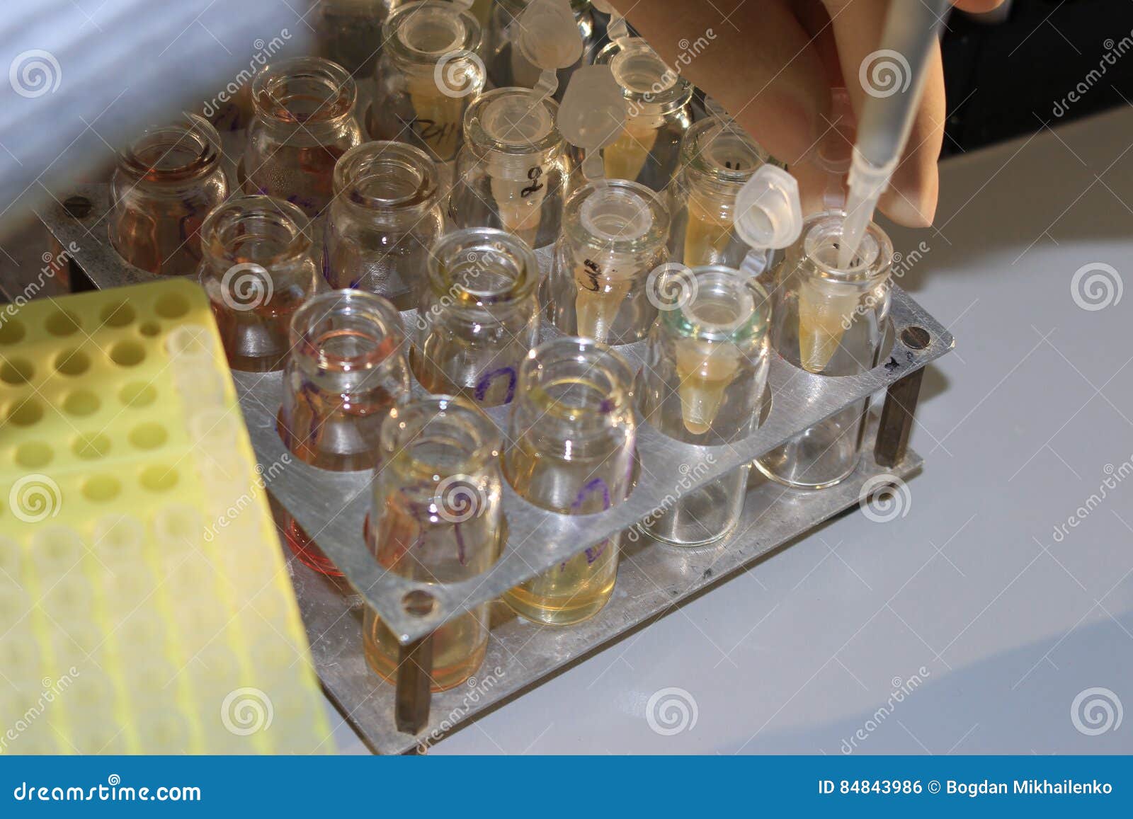 In the Biochemical Laboratory Stock Photo - Image of test, tubes: 84843986