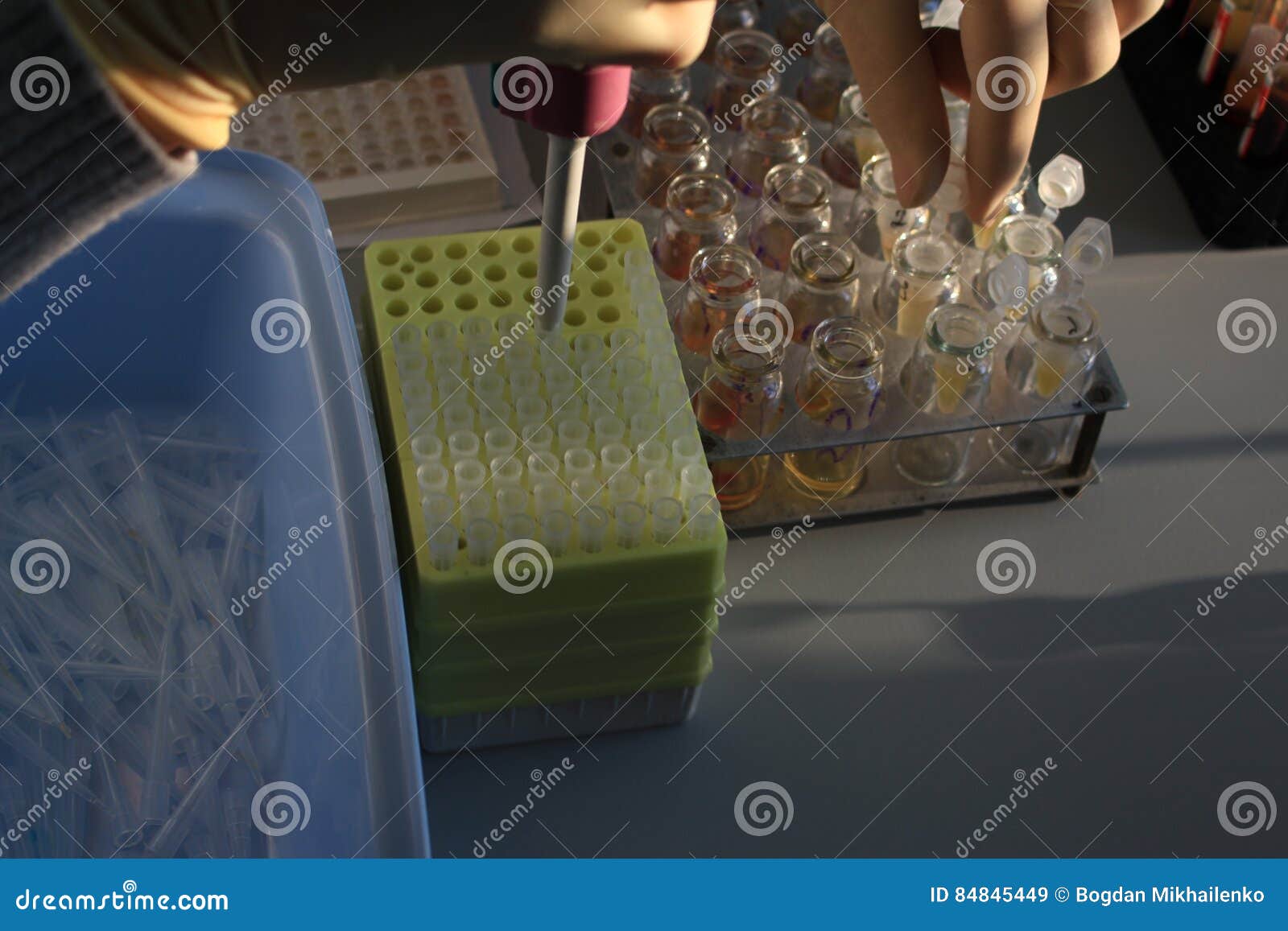 In the Biochemical Laboratory Stock Image - Image of reagents, employee ...