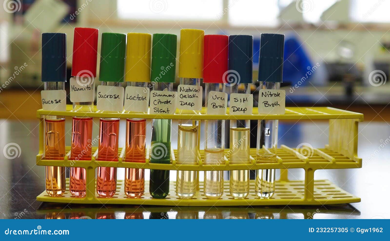 Microbiology Biochemistry Test Stock Video - Video of bacterium, food ...