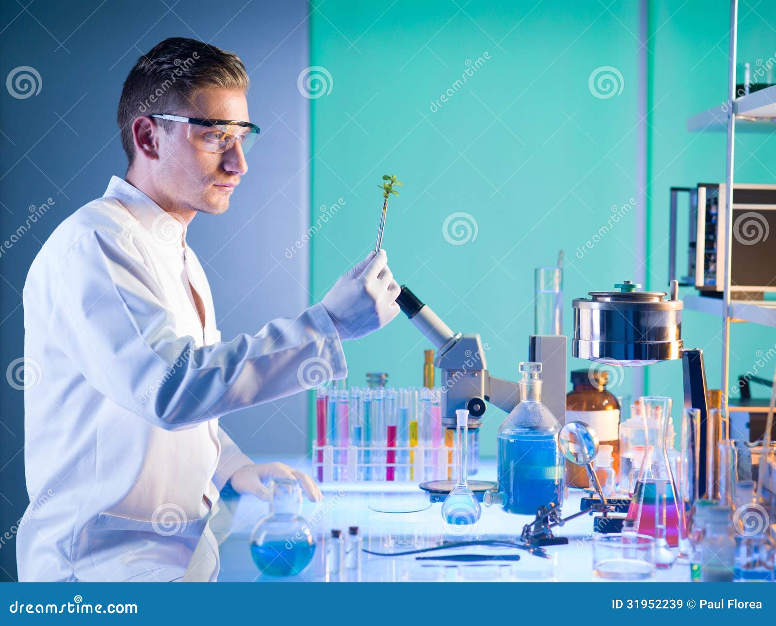 Biochemicus Die Een Installatie Bestuderen Stock Afbeelding - Image of ...