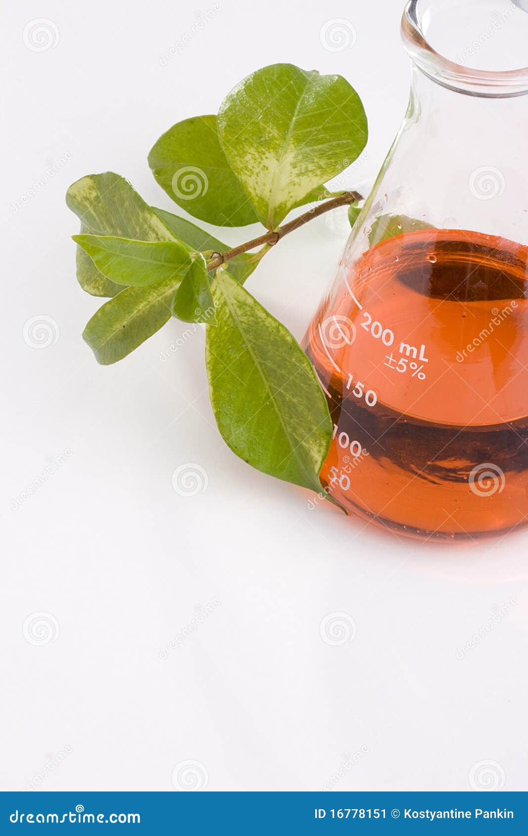 Biochemistry stock image. Image of green, flask, container - 16778151