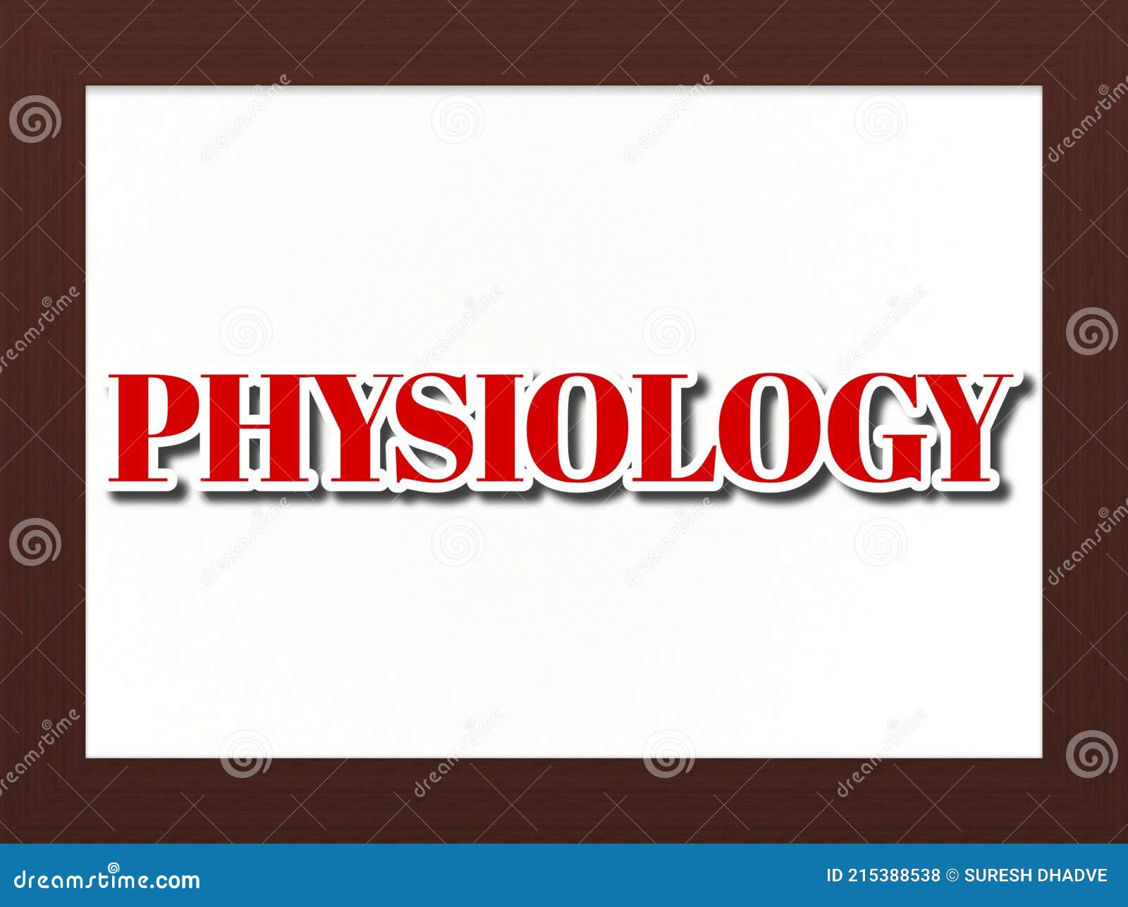 Physiology 3d Text Inside the Frame Illustration Stock Illustration ...