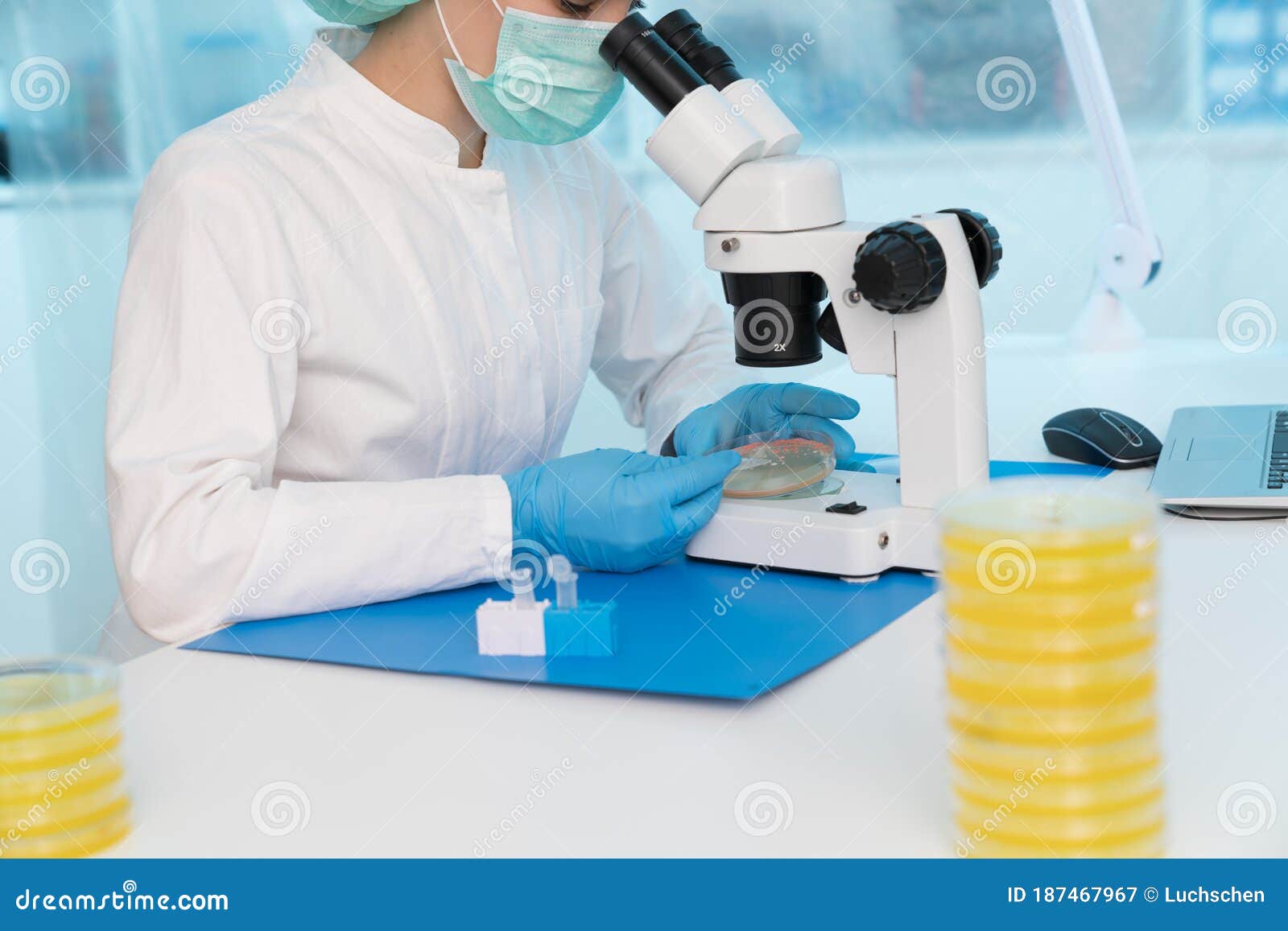 Biochemistry research test stock image. Image of background - 187467967