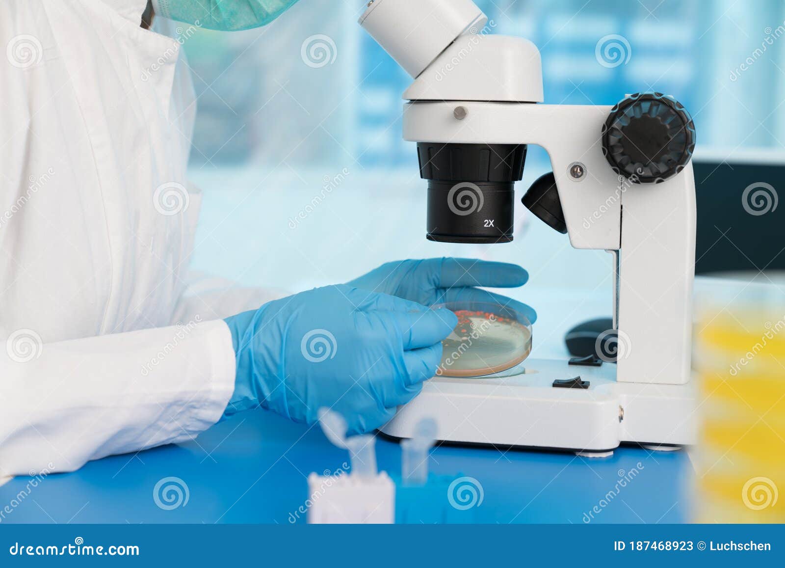 Biochemistry research test stock image. Image of bacteria - 187468923