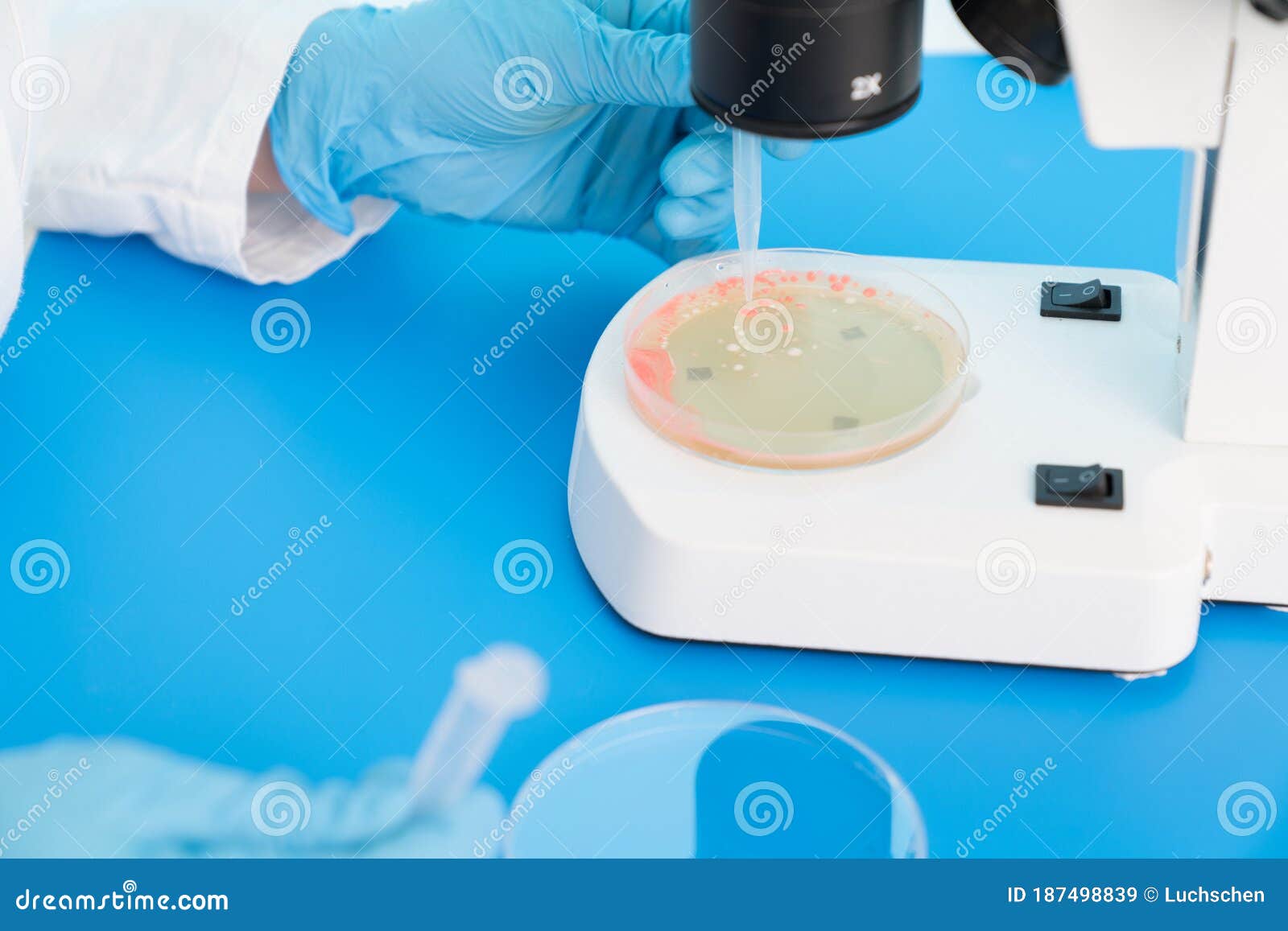 Biochemistry research test stock image. Image of medium - 187498839
