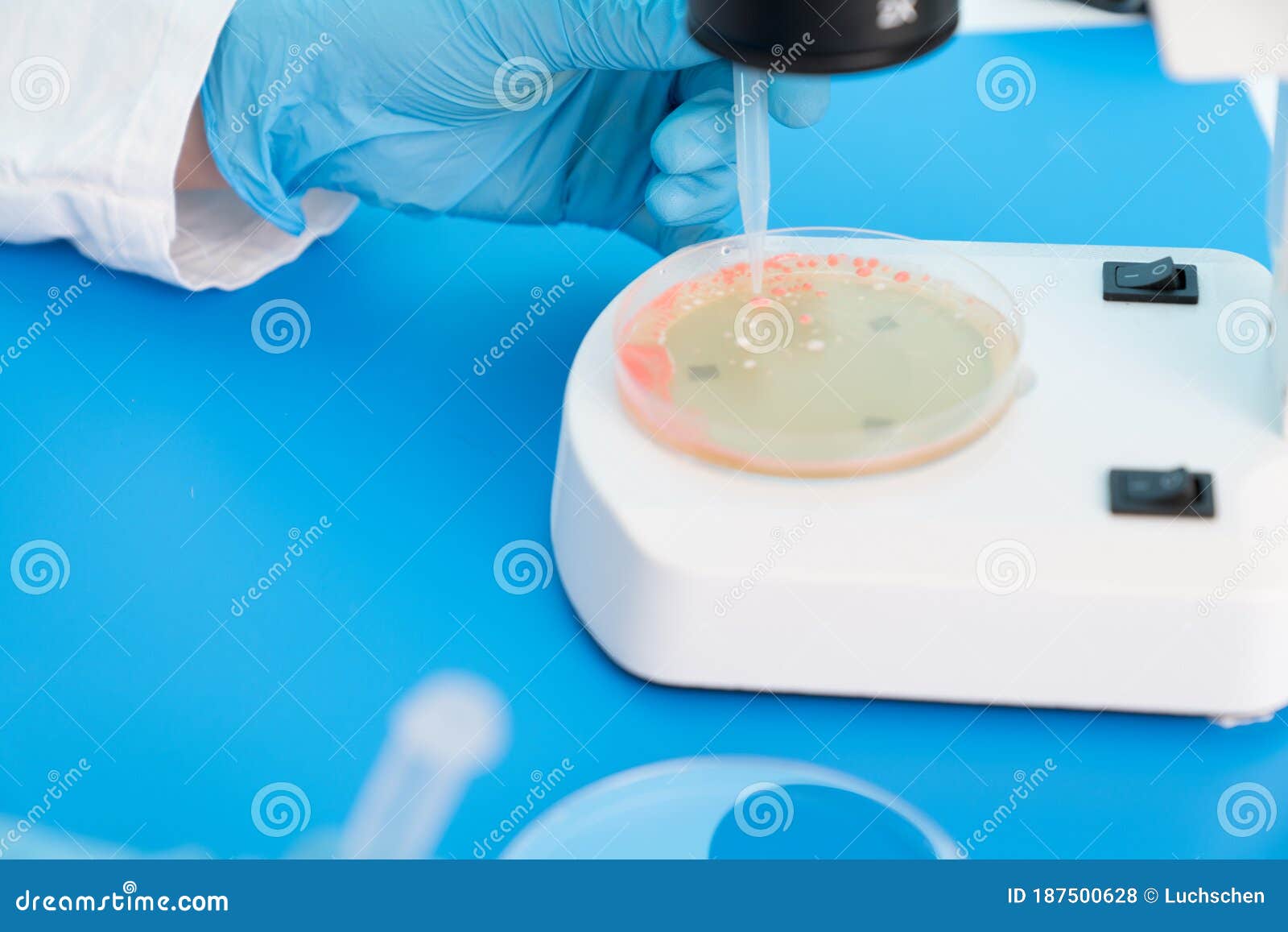 Biochemistry research test stock photo. Image of research - 187500628