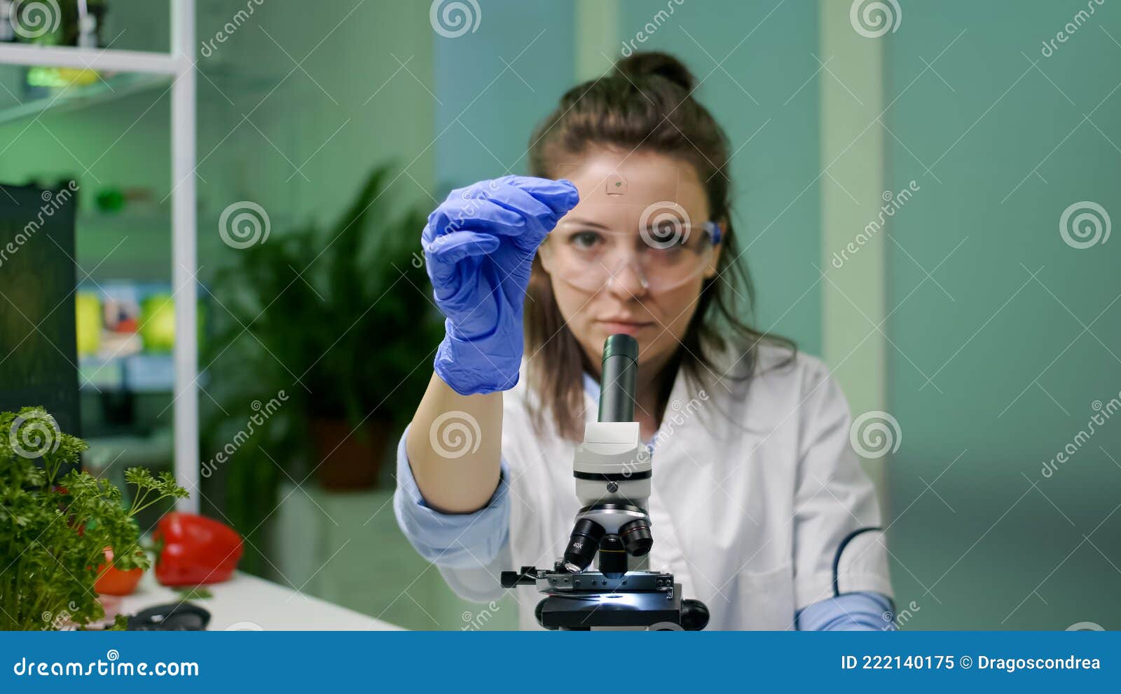 Biochemistry Scientist Analyzing Green Liquid Sample Using Microscope ...