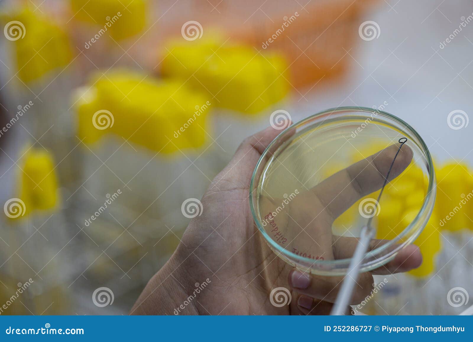 Biochemistry Study in the Laboratory. Stock Image - Image of bacterium ...