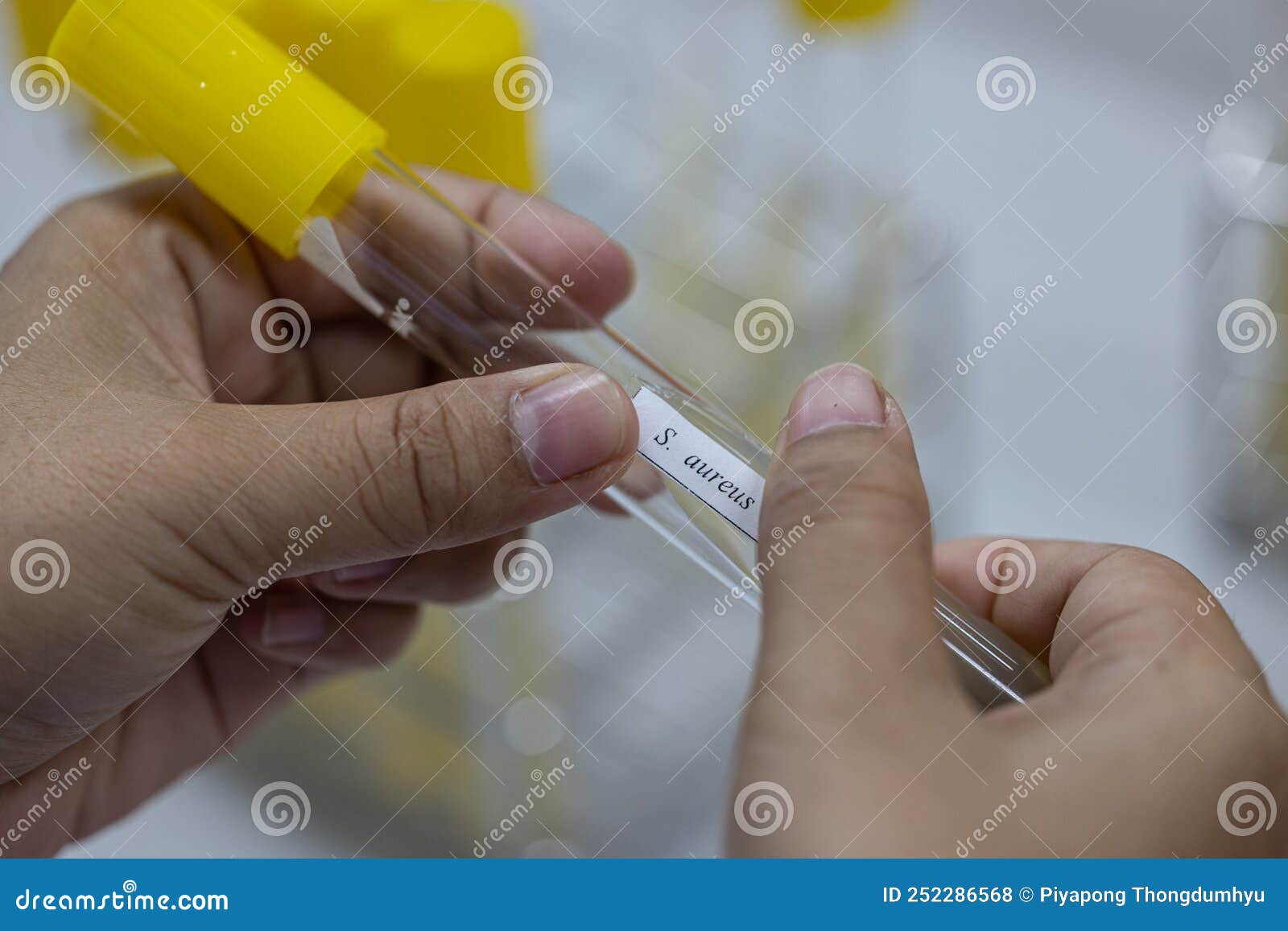 Biochemistry Study in the Laboratory. Stock Photo - Image of medical ...