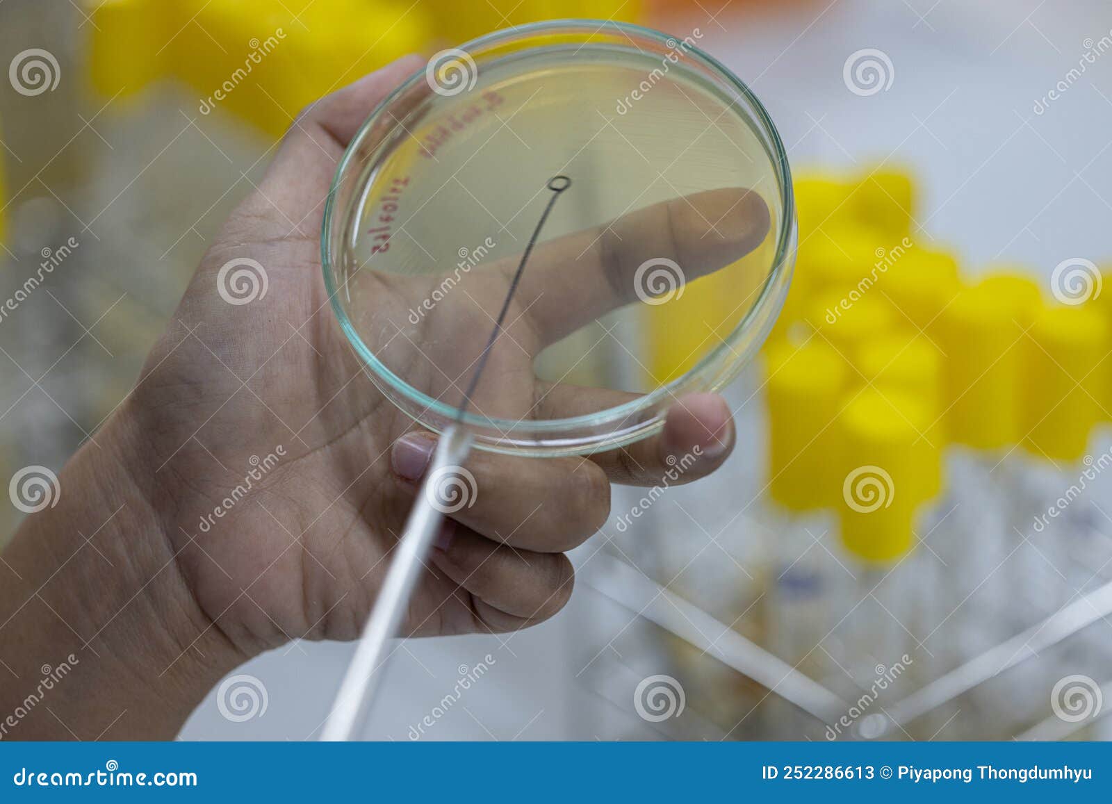 Biochemistry Study in the Laboratory. Stock Image - Image of clinic ...