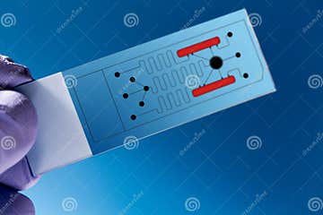 Biochip for Identifying Proteins, Lab on Chip - Systems All Process for ...