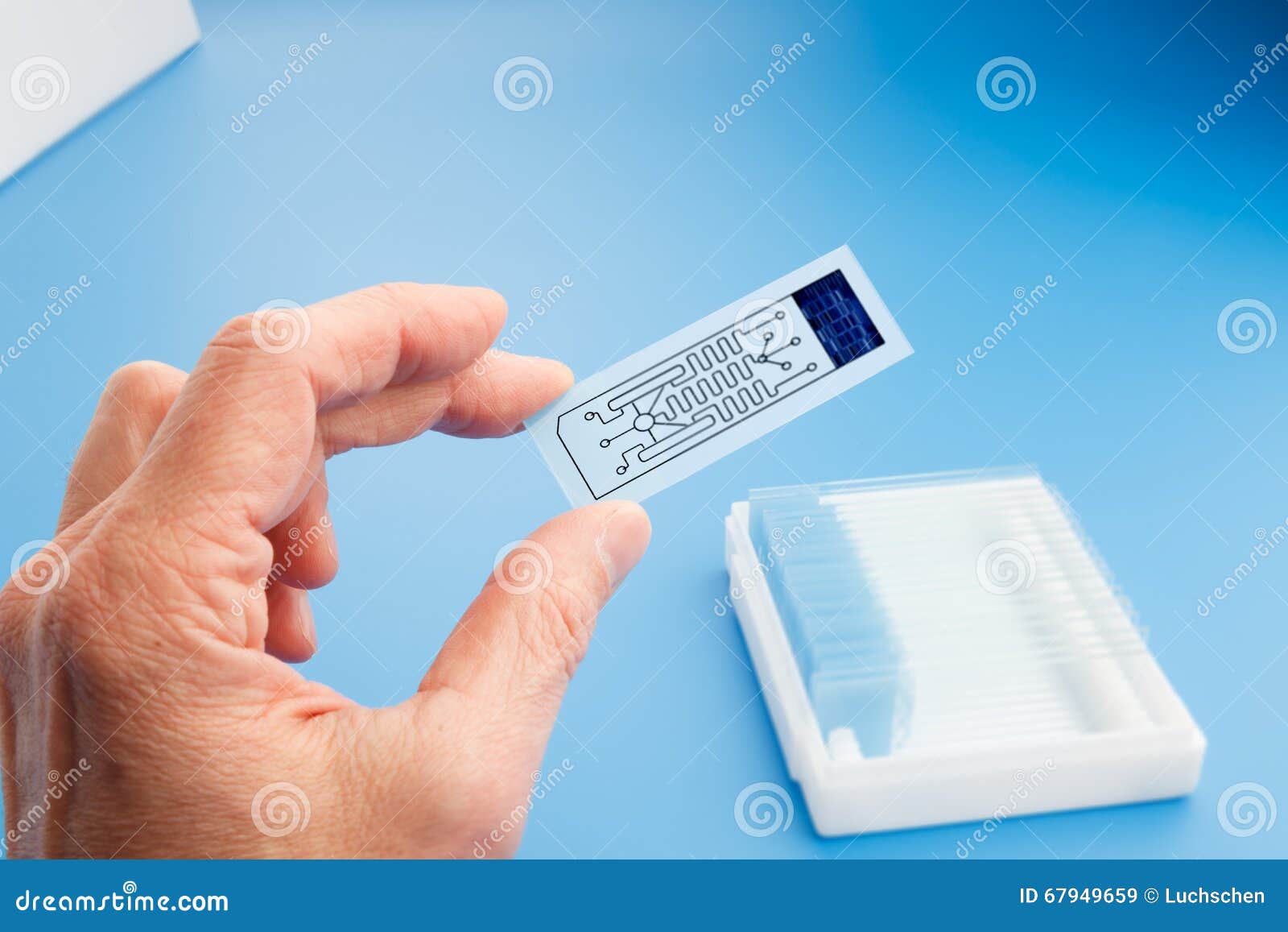 Biochip for Identifying Proteins, Lab on Chip Stock Image - Image of ...