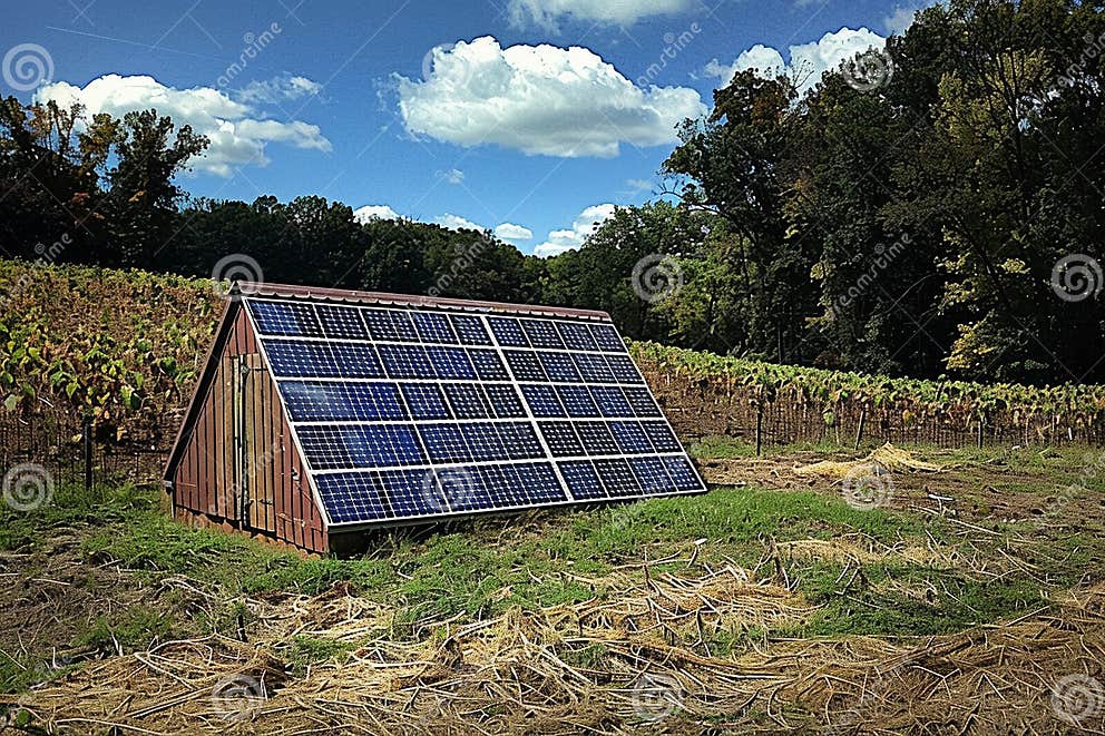 Biodegradable Innovations Revolutionize Solar Technology, Reducing ...