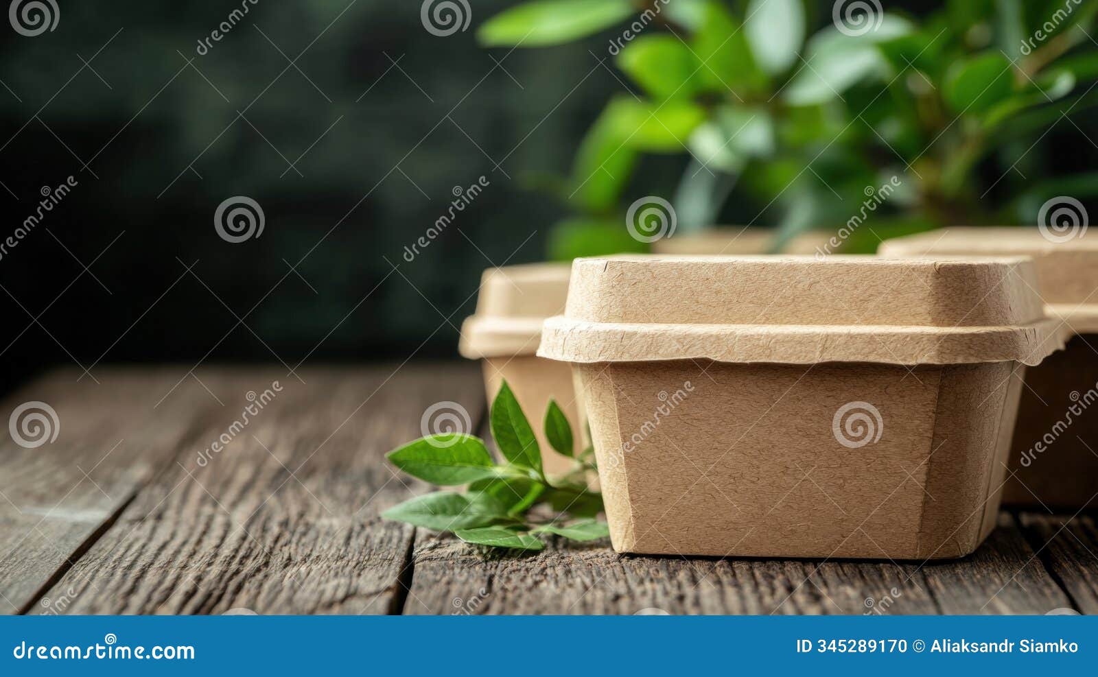 Biodegradable Materials Sustainable Fashion Icon Color Illustration ...