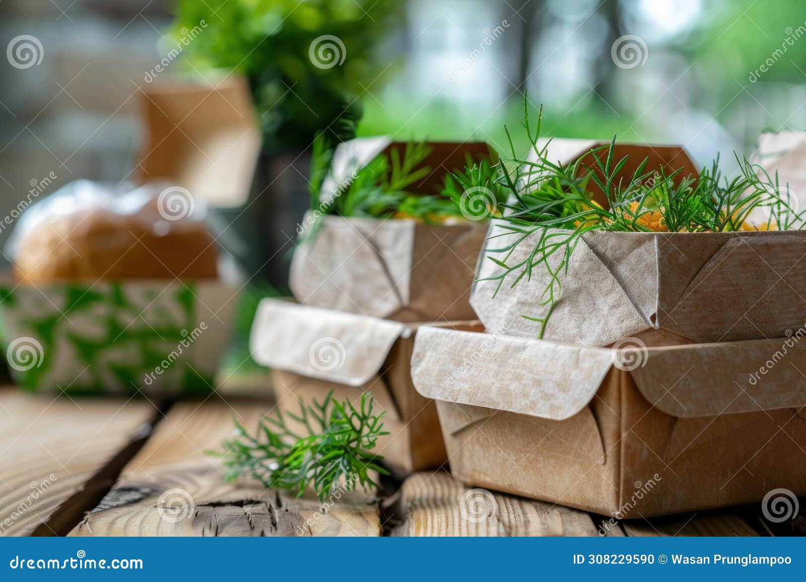 Biodegradable Packaging Process a Step Towards Reducing Plastic Use in ...