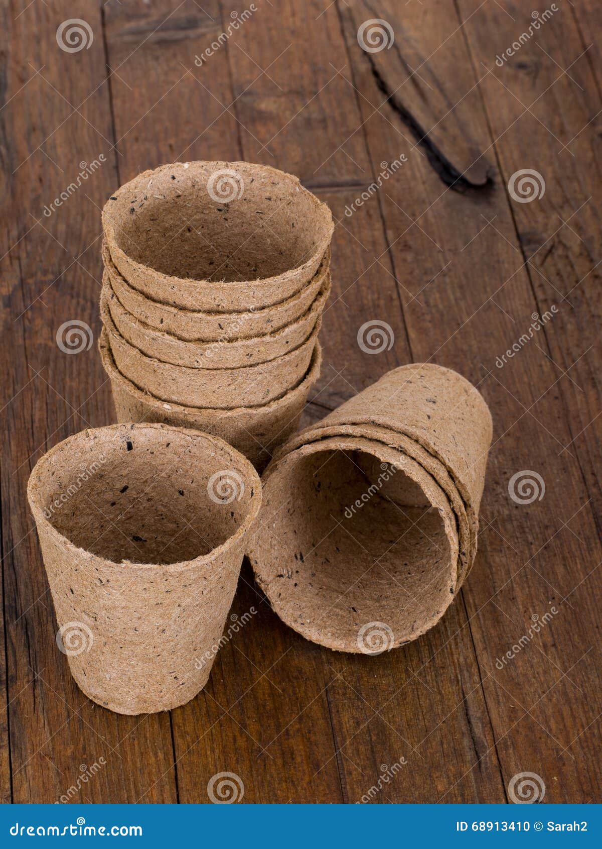 Biodegradable Peat Pots for Sowing Seeds. Stock Photo - Image of spring ...