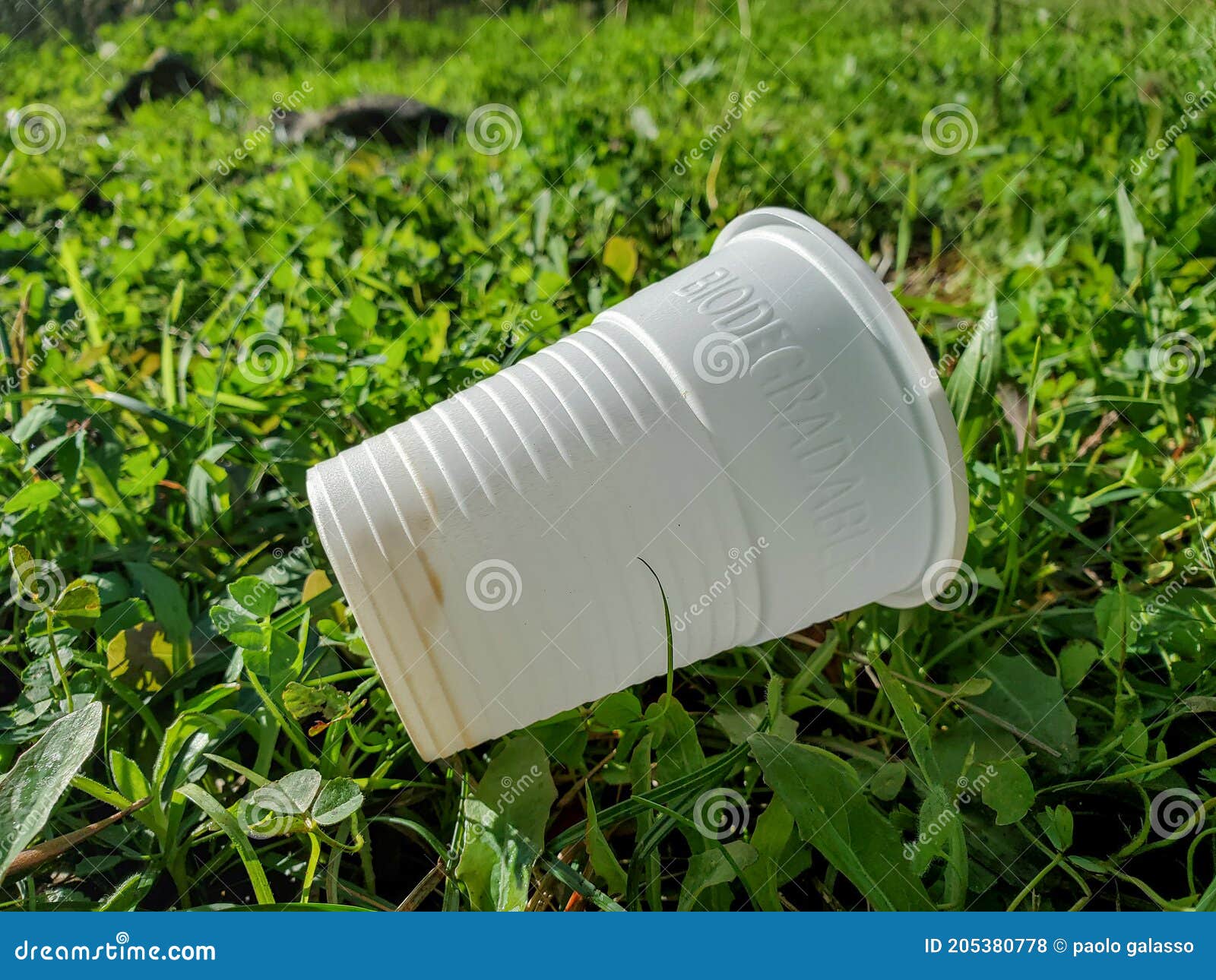 Biodegradable Plastic Glass Waste Discarded on Grass Ground,eco ...