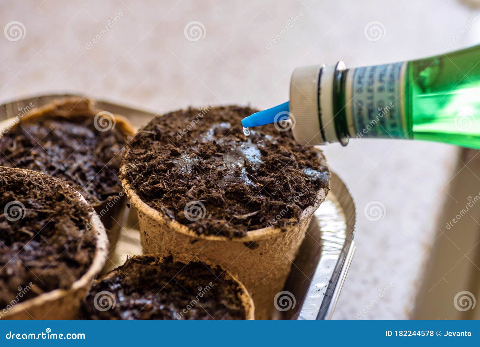 Biodegradable Seed Pots with Soil Being Poured with Water from Handmade ...