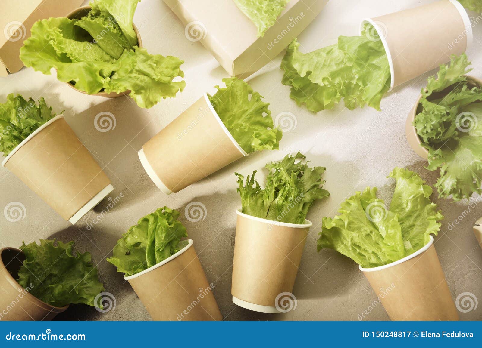 Biodegradable Tableware and Greens on Light Background. Secondary ...