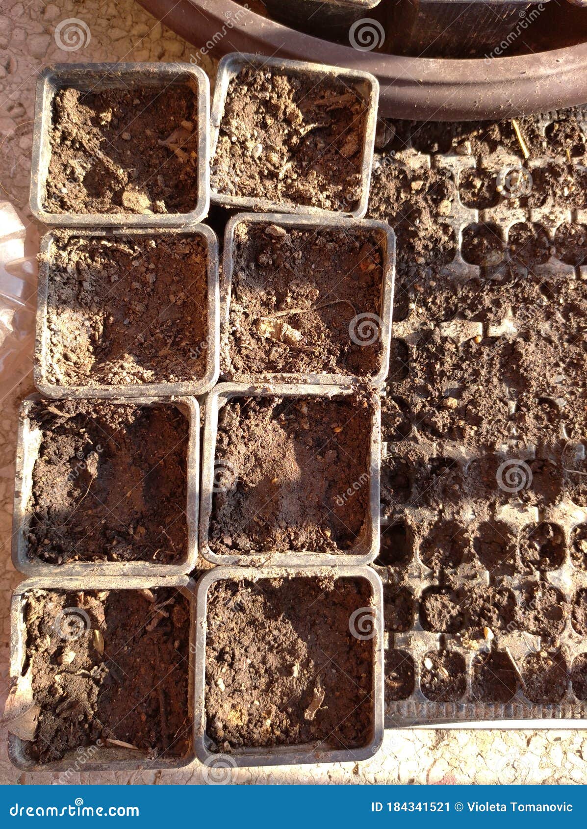 Biodegradable and Tiny Plastic Pots for Spring Planting Season Off the ...