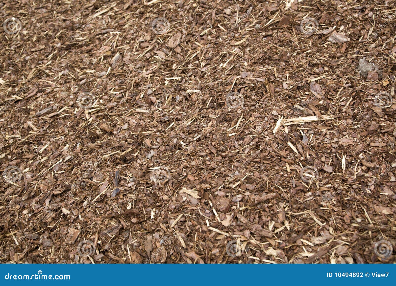 Biodegradable waste stock photo. Image of environmental - 10494892