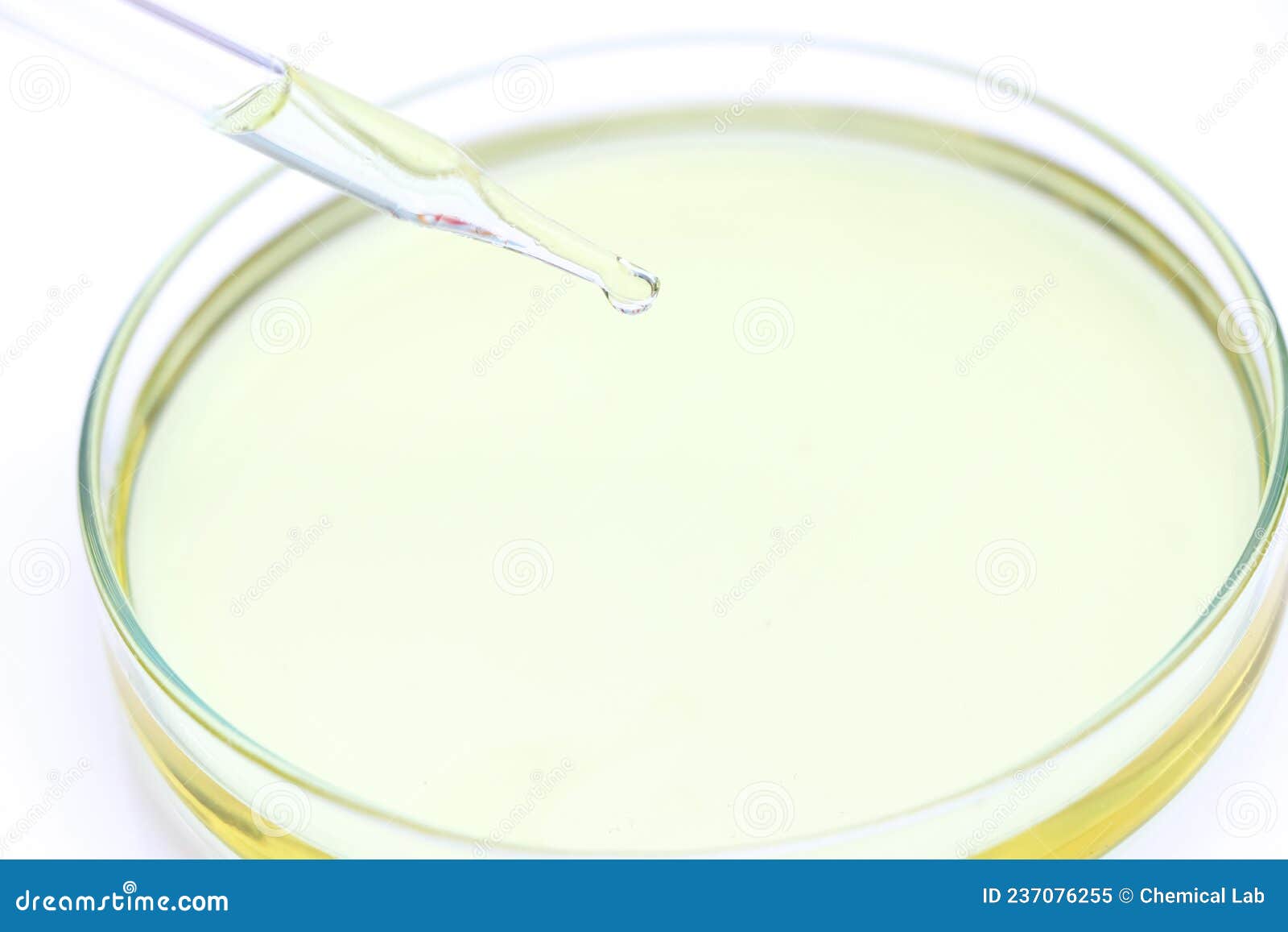 Biodiesel Experiments from Natural Raw Materials in the Laboratory ...